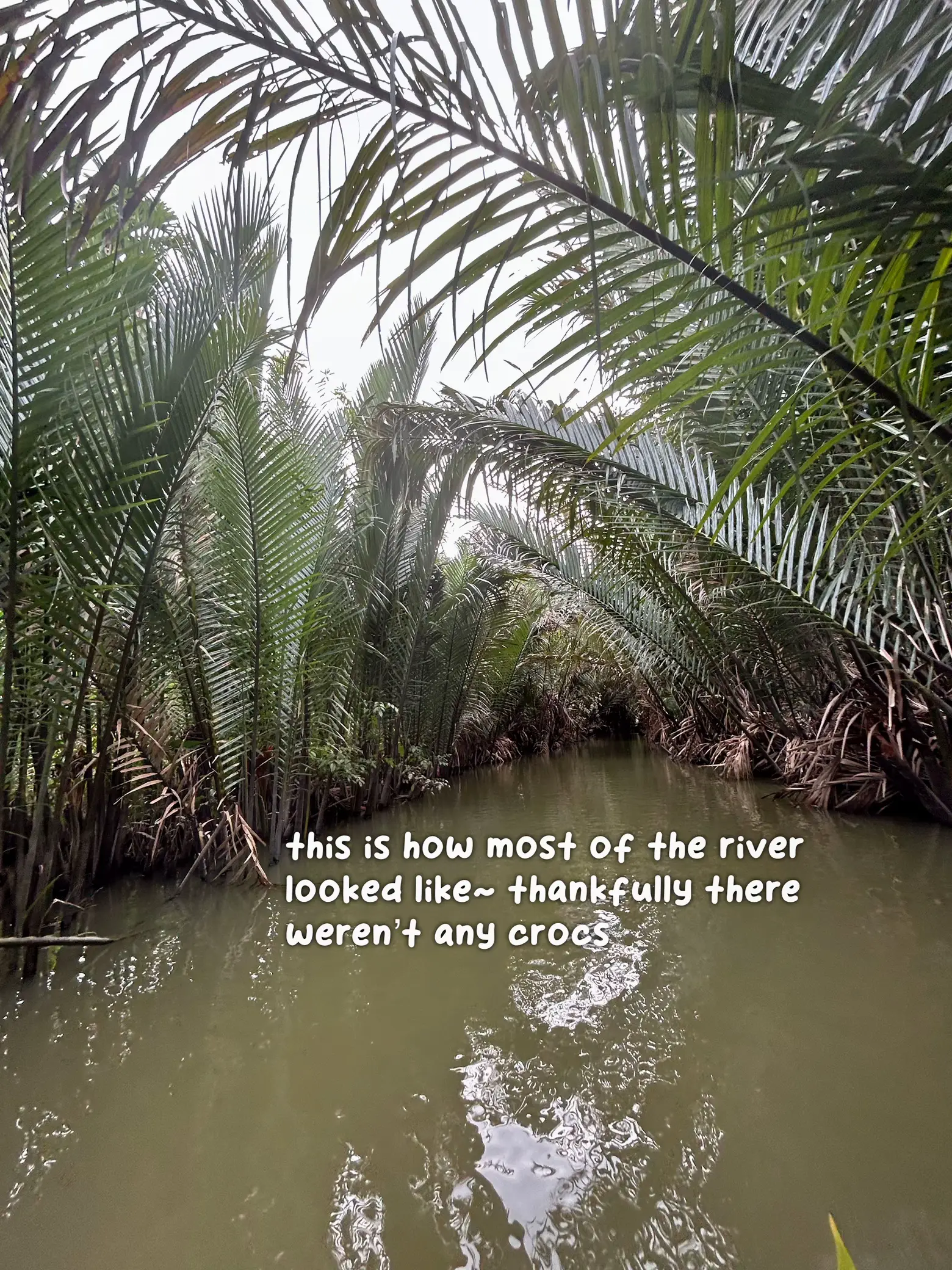 EXPLORING MEKONG DELTA! | snakes, crocs & sampans🛶 | Gallery posted by ...