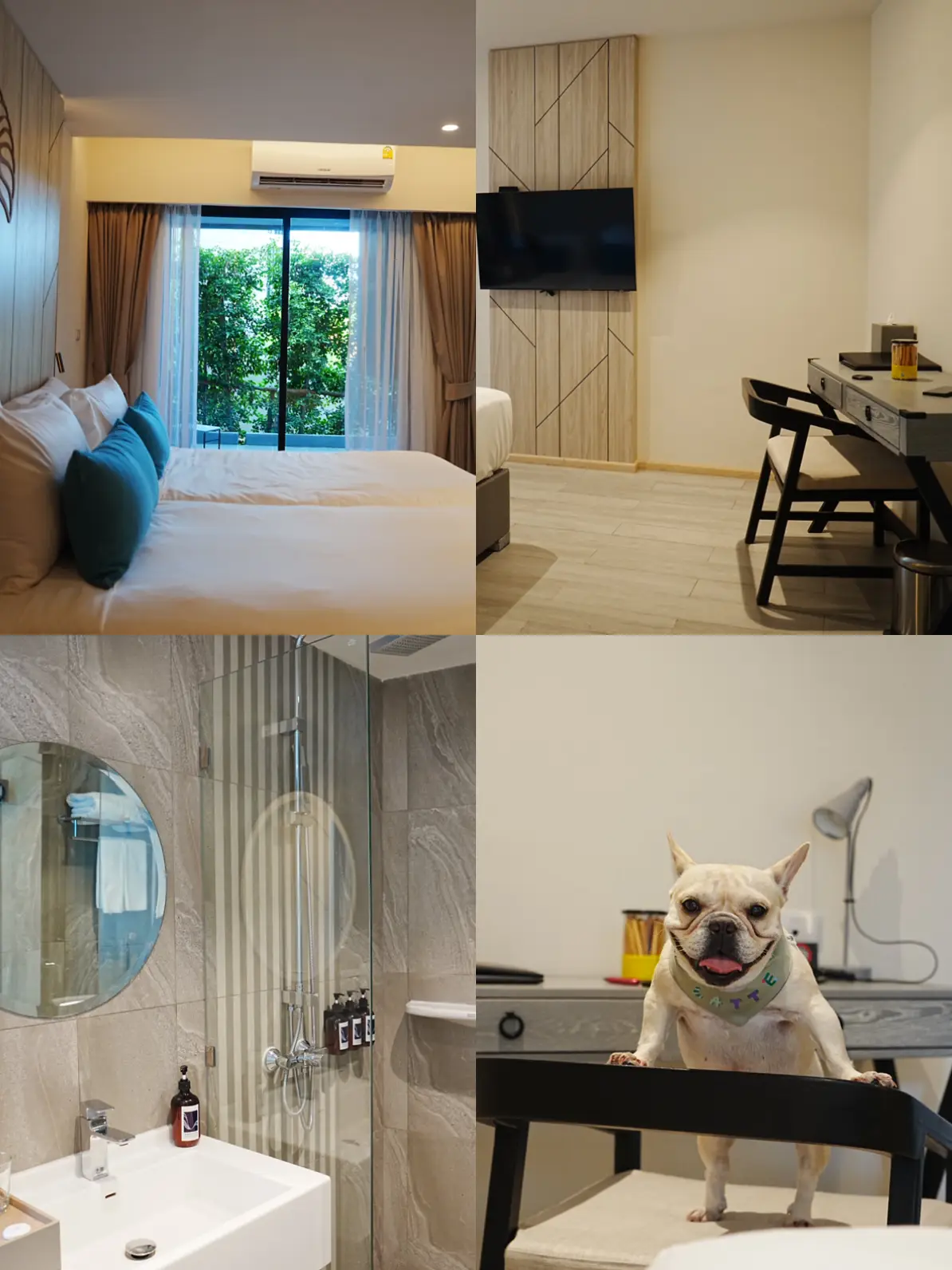 Best Western Plus Carapace รร ใหม่กริปหัวหินไม่ถึง 3,000 | แกลเลอรีที่ ...