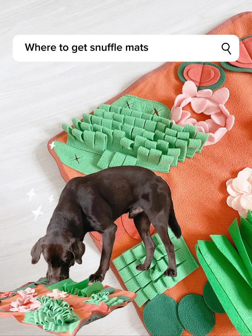 great for rainy days 🌧 | แกลเลอรีที่โพสต์โดย shirlyn | Lemon8