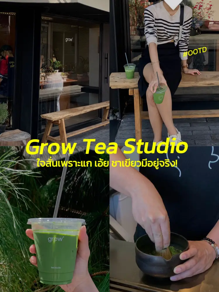 🍵#อันนี้ดี | Grow tea.studio ร้านชาเขียวเจ้มจ้นมาก | แกลเลอรีที่โพสต์ ...