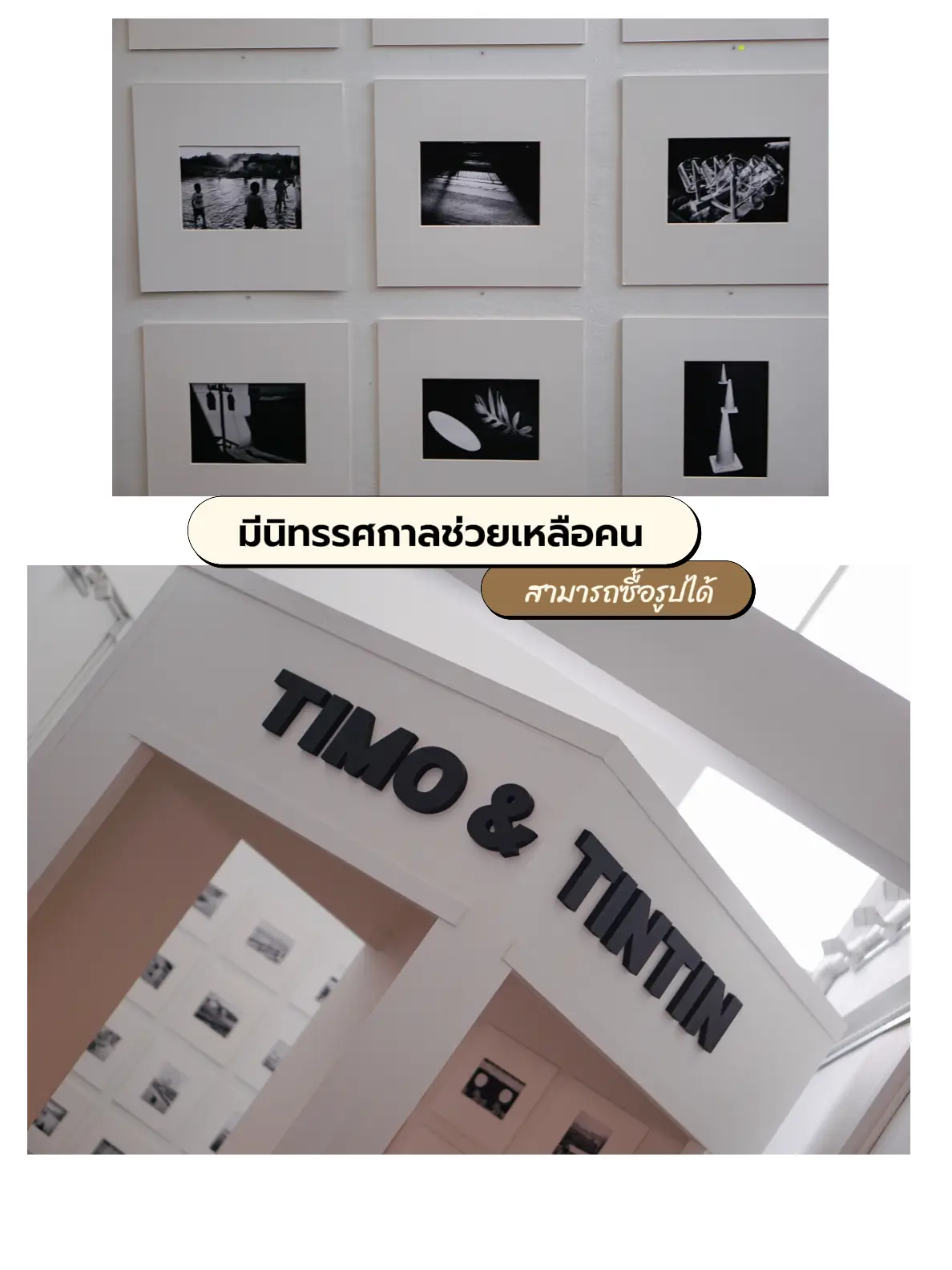 Timo and Tintin cafe ตลาดน้อย 🐻‍ ️🤍🥤 | แกลเลอรีที่โพสต์โดย patchtor ...