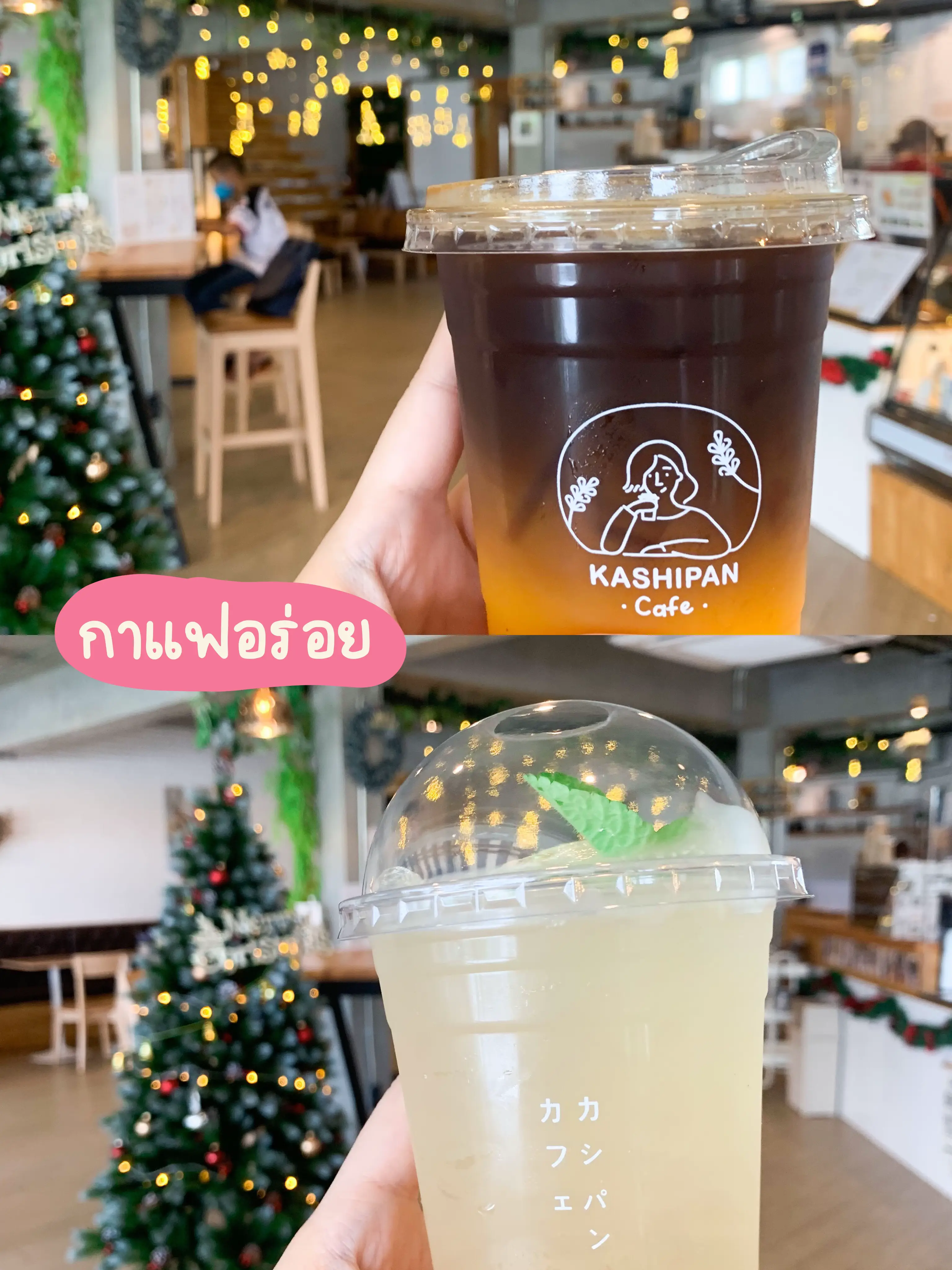 คาเฟ่หล่มสัก การค้นหาใน Lemon8
