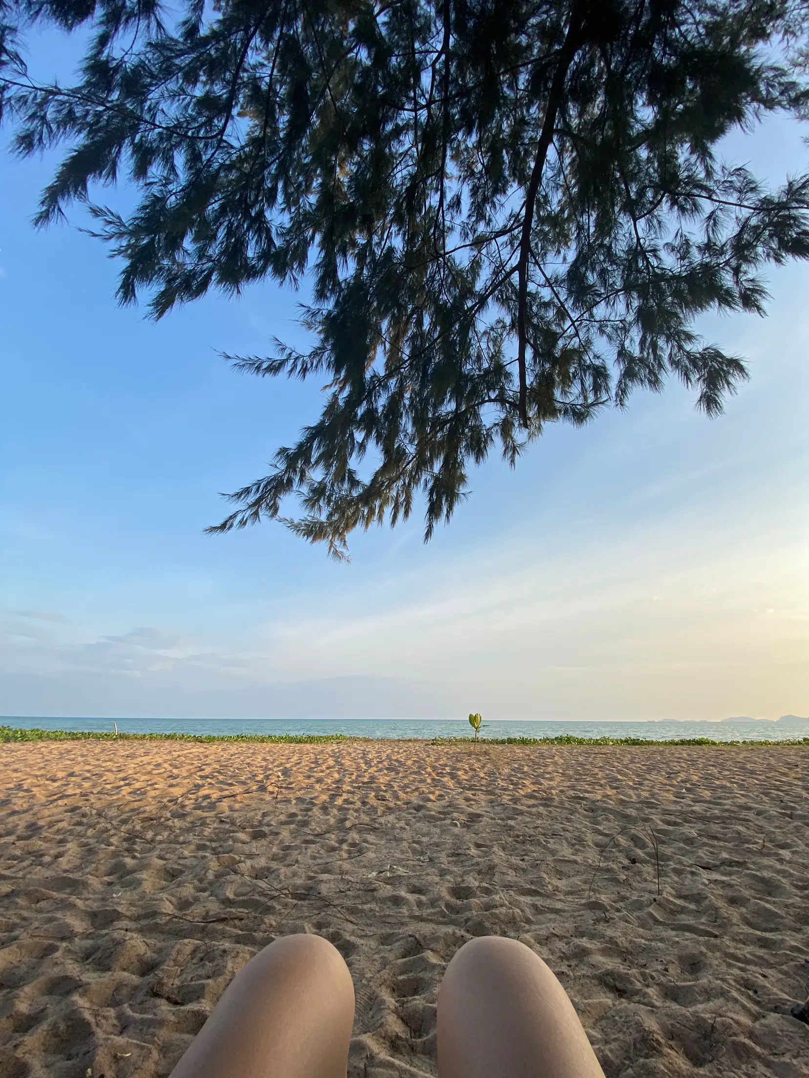 One day trip นั่งรับลมที่หาด EOD🍃⛺️ | แกลเลอรีที่โพสต์โดย knnnn | Lemon8