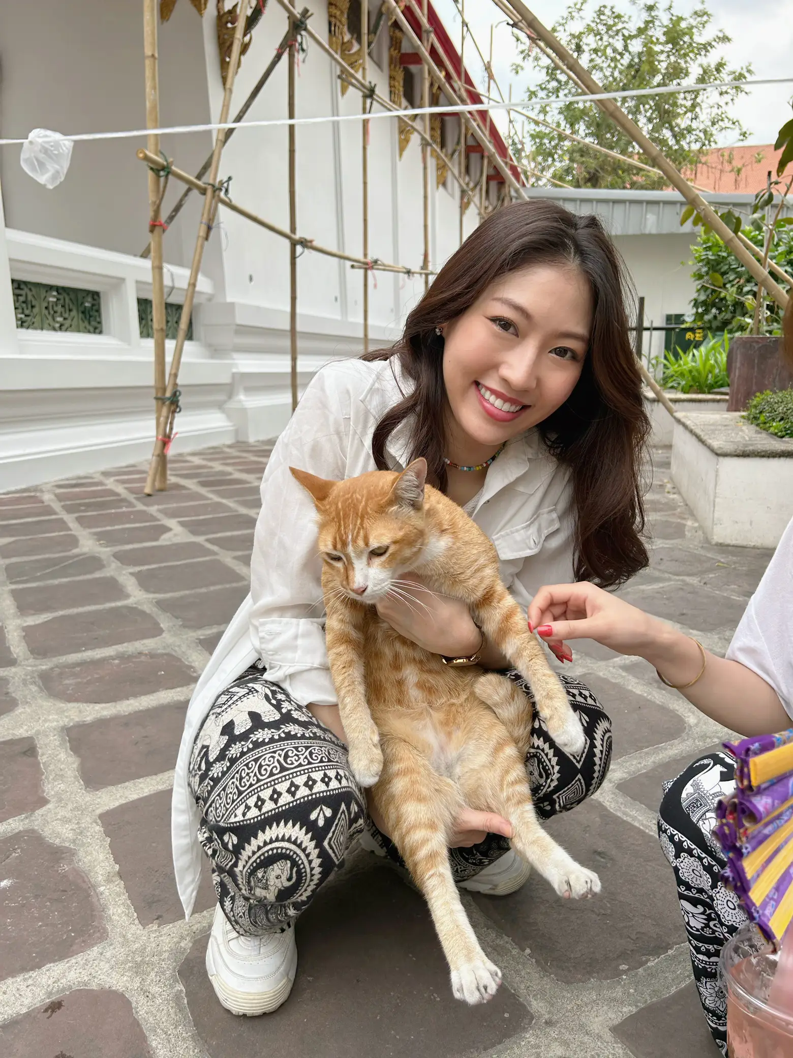 20 ไอเดียยอดนิยมเกี่ยวกับ กางเกงช้างใส่กับเสื้ออะไรดี ในปี 2024