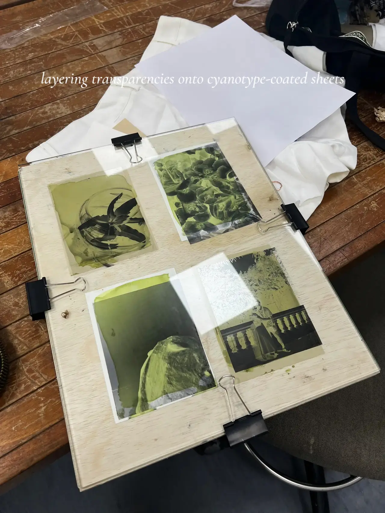 cyanotype printing process - Lemon8 Search