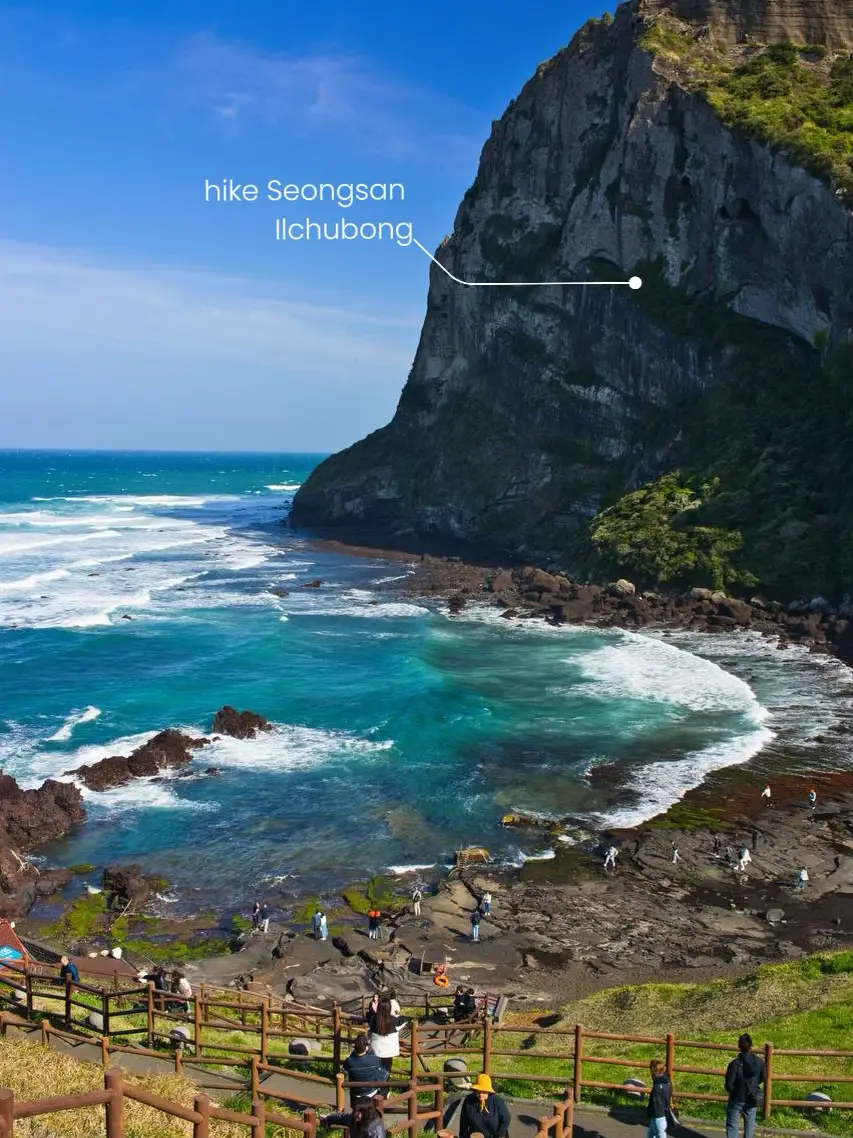 📌 10 things I did in Jeju in spring 🌸 | แกลเลอรีที่โพสต์โดย Ness | Lemon8