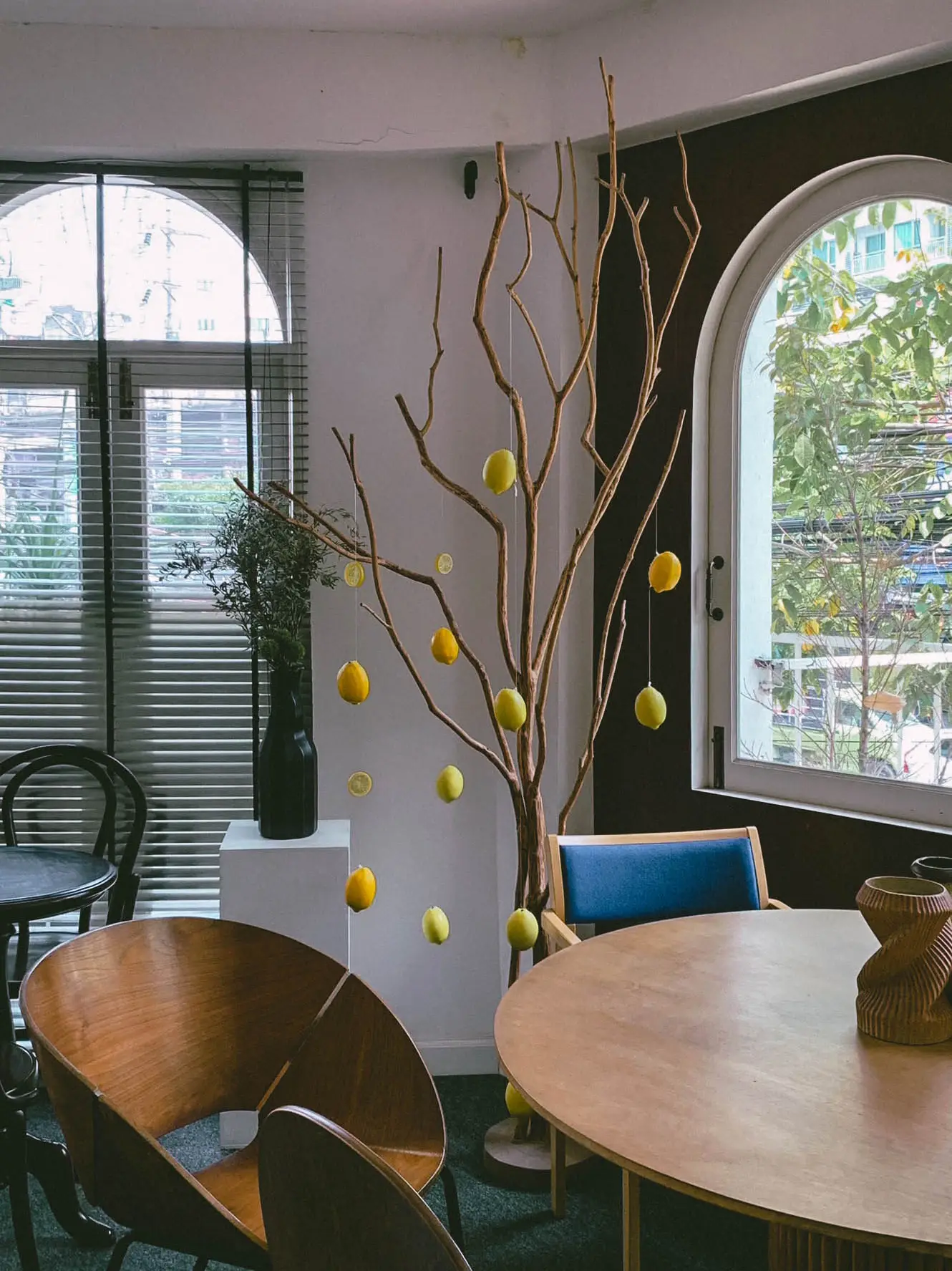 เจ้าเลม่อน x กับเพื่อนใหม่ 🍋 | แกลเลอรีที่โพสต์โดย ไปกับแจ๊บ | GWJ | Lemon8