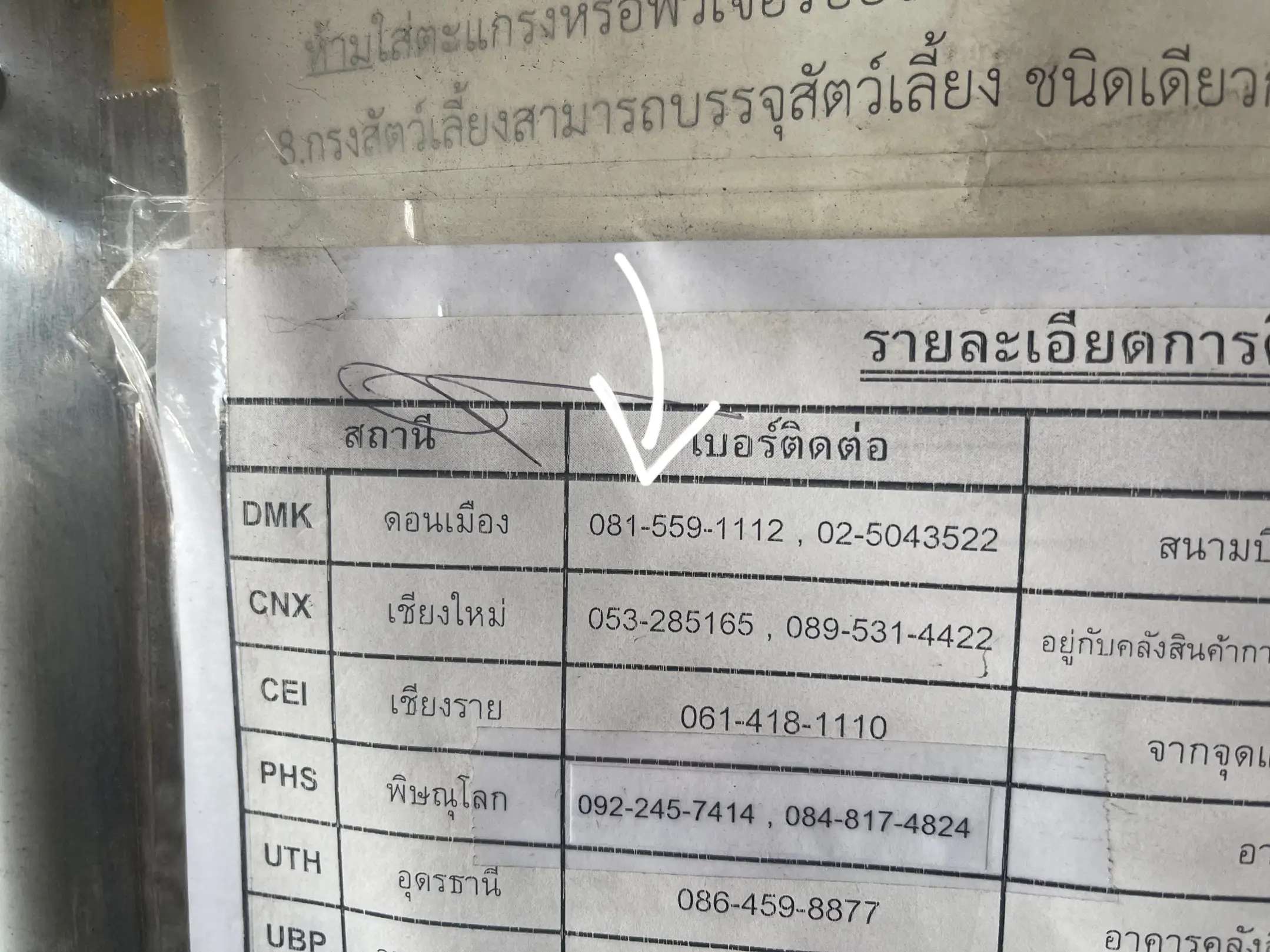 ครั้งแรก ส่งน้องหมาโดย Cargo NOKAIR | แกลเลอรีที่โพสต์โดย MINDY WONG ...