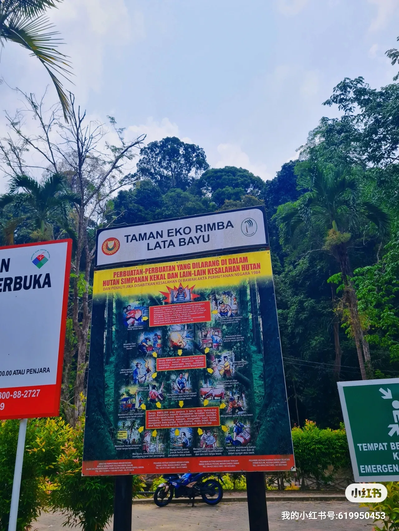 Baling Lata Bayu waterfall | Gallery posted by kinkilai | Lemon8