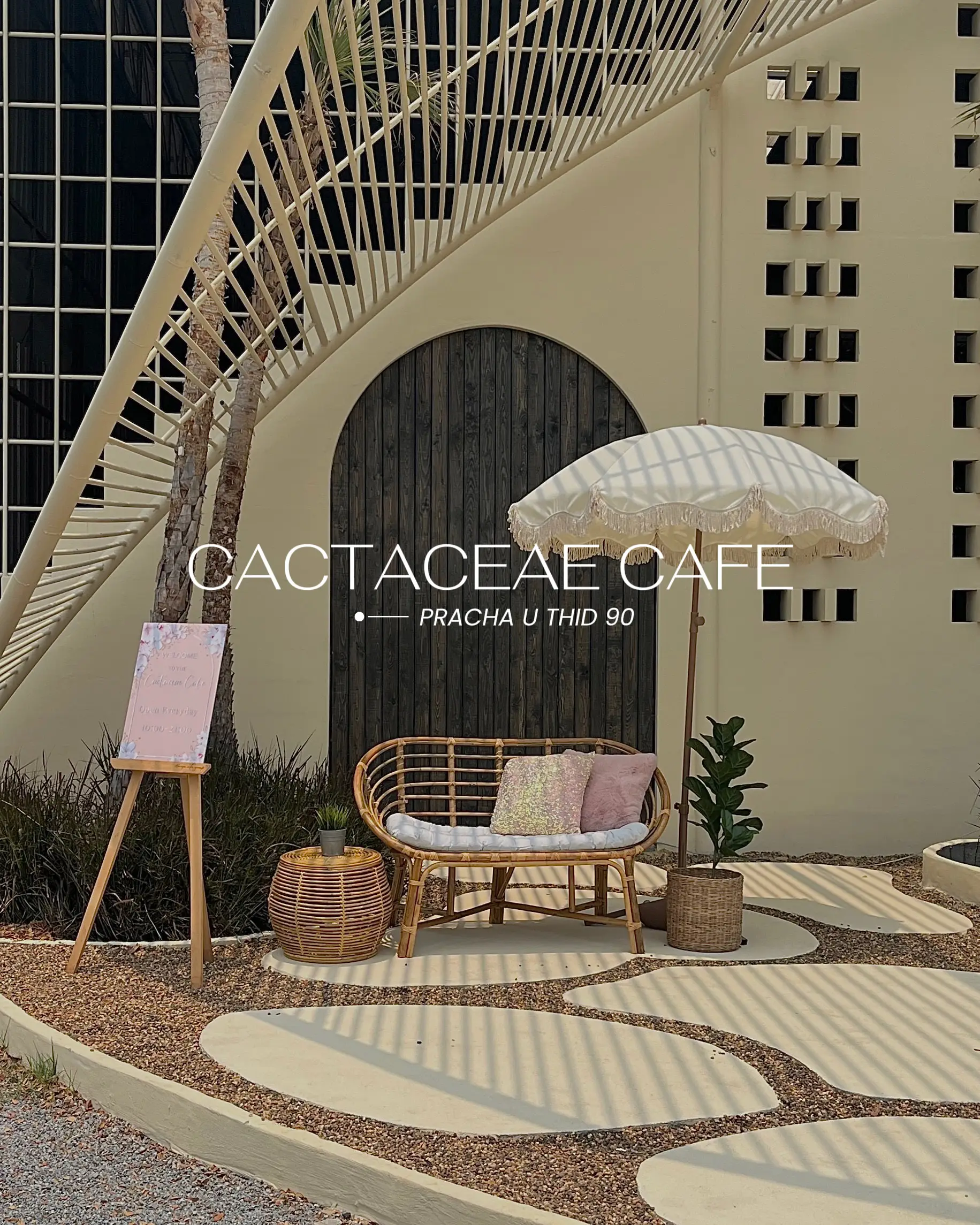 🌵 CACTACEAE CAFEが導入されました。 | Biere.titiが投稿したフォトブック | Lemon8