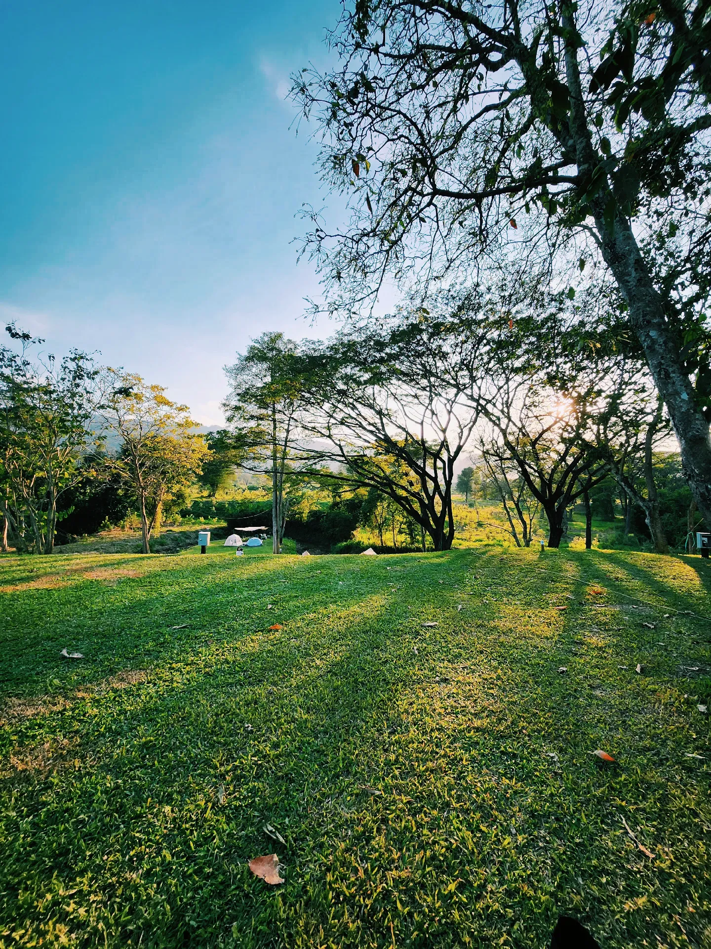 HOOGA Camping ลานกางเต็นท์ใหม่เอี่ยมที่อยากแนะนำ | แกลเลอรีที่โพสต์โดย ...