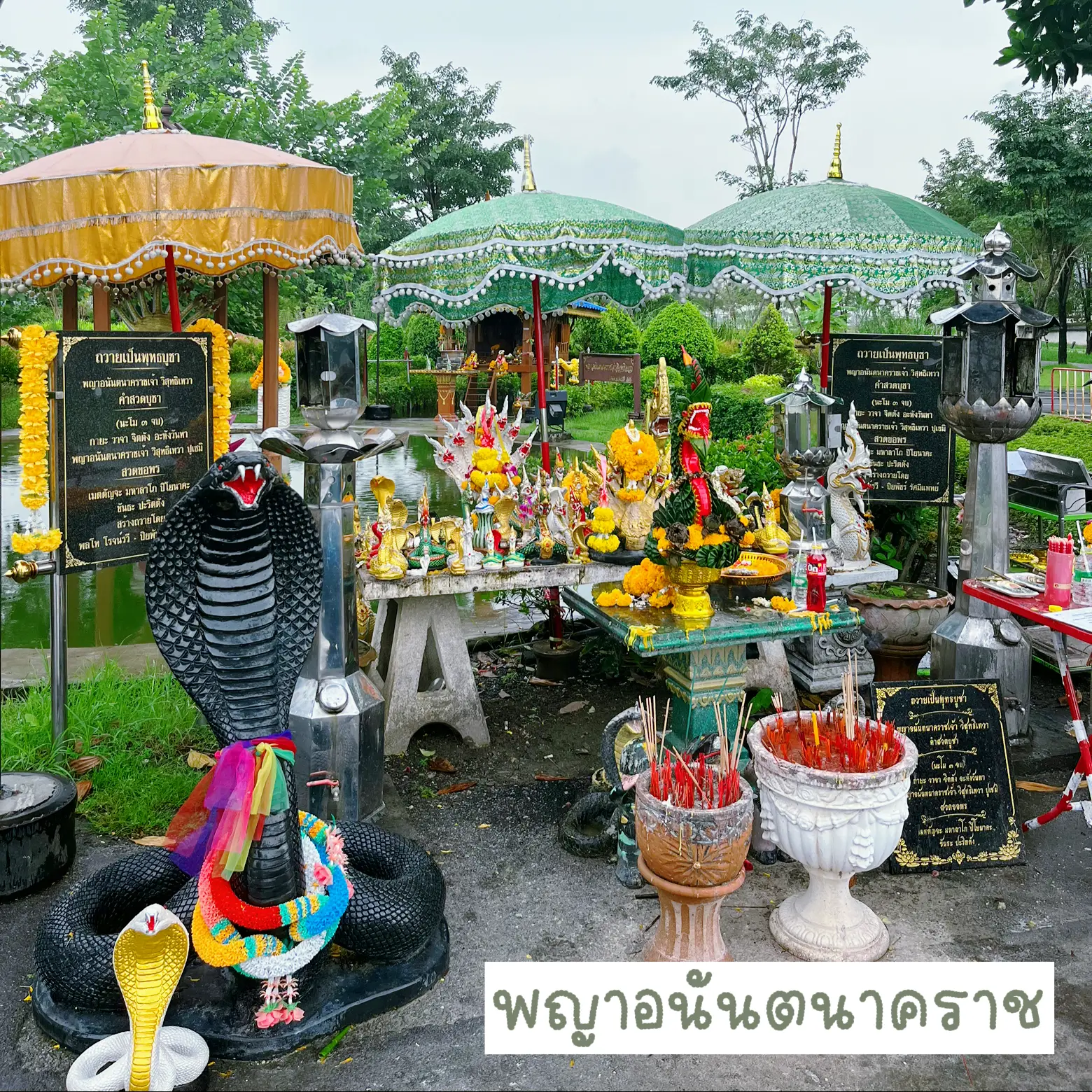 ไปมูกัน 🔮 ศาลพญานาค สนามบินสุวรรณภูมิ | แกลเลอรีที่โพสต์โดย dear chatnapa | Lemon8