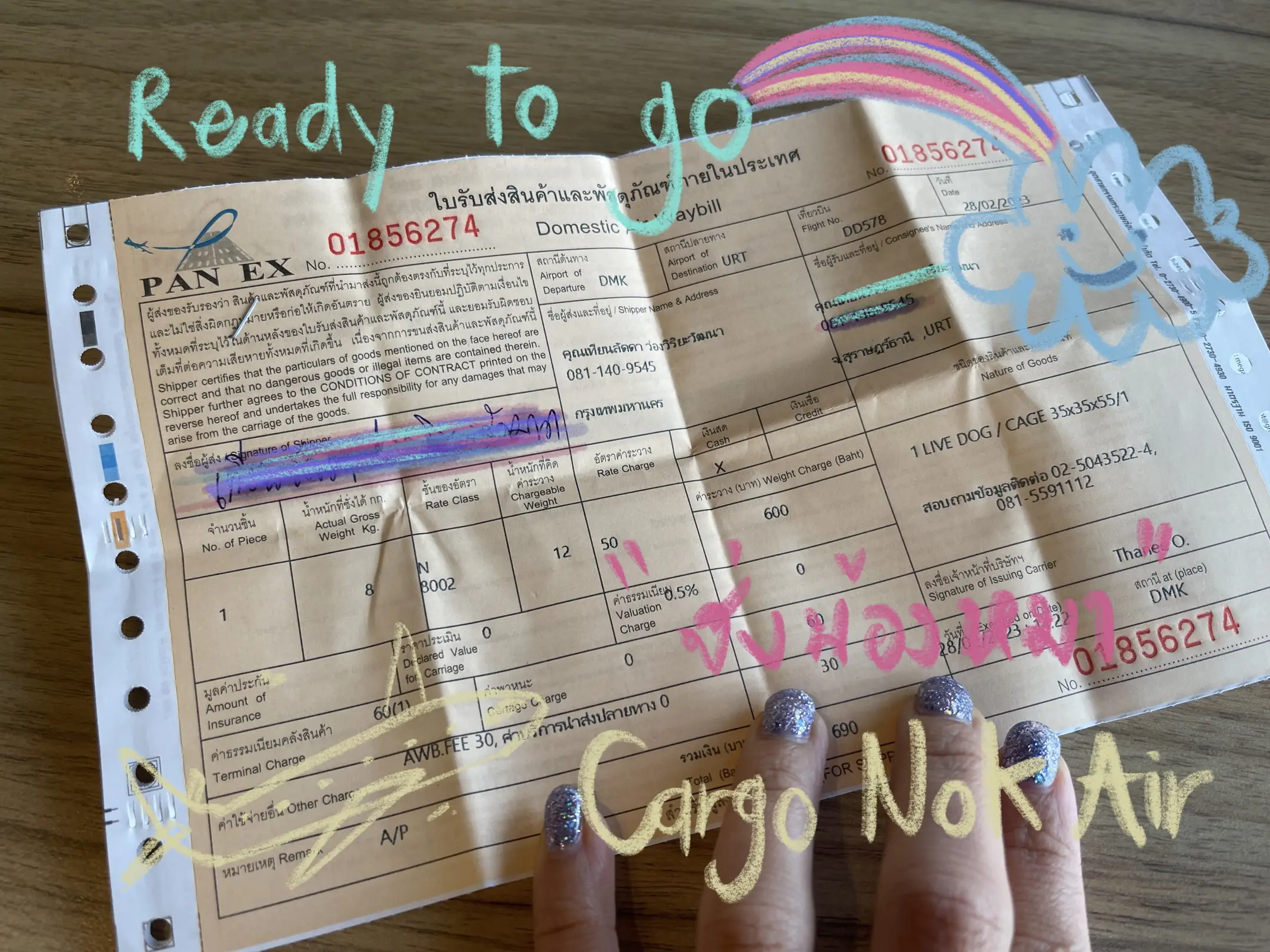 ครั้งแรก ส่งน้องหมาโดย Cargo NOKAIR | แกลเลอรีที่โพสต์โดย MINDY WONG | Lemon8