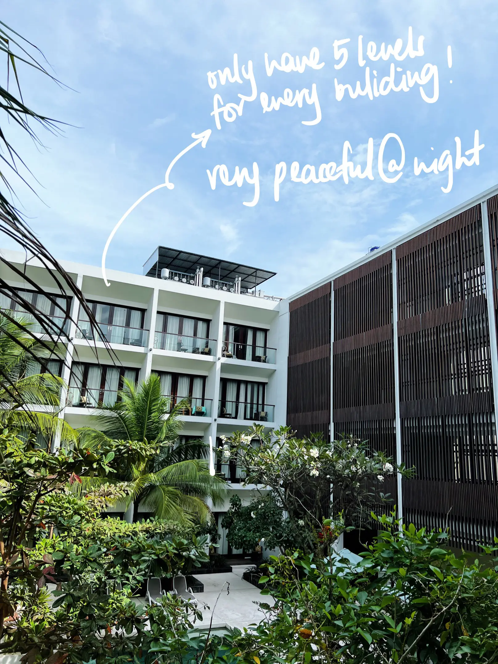 Private Driver Service in Bali - Lemon8 Search