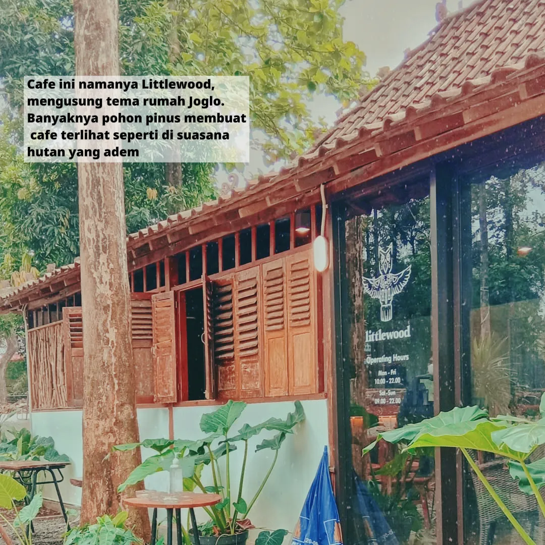 Cafe Hutan Pinus di Bekasi, Vibesnya Jogja banget! | Galeri diposting ...