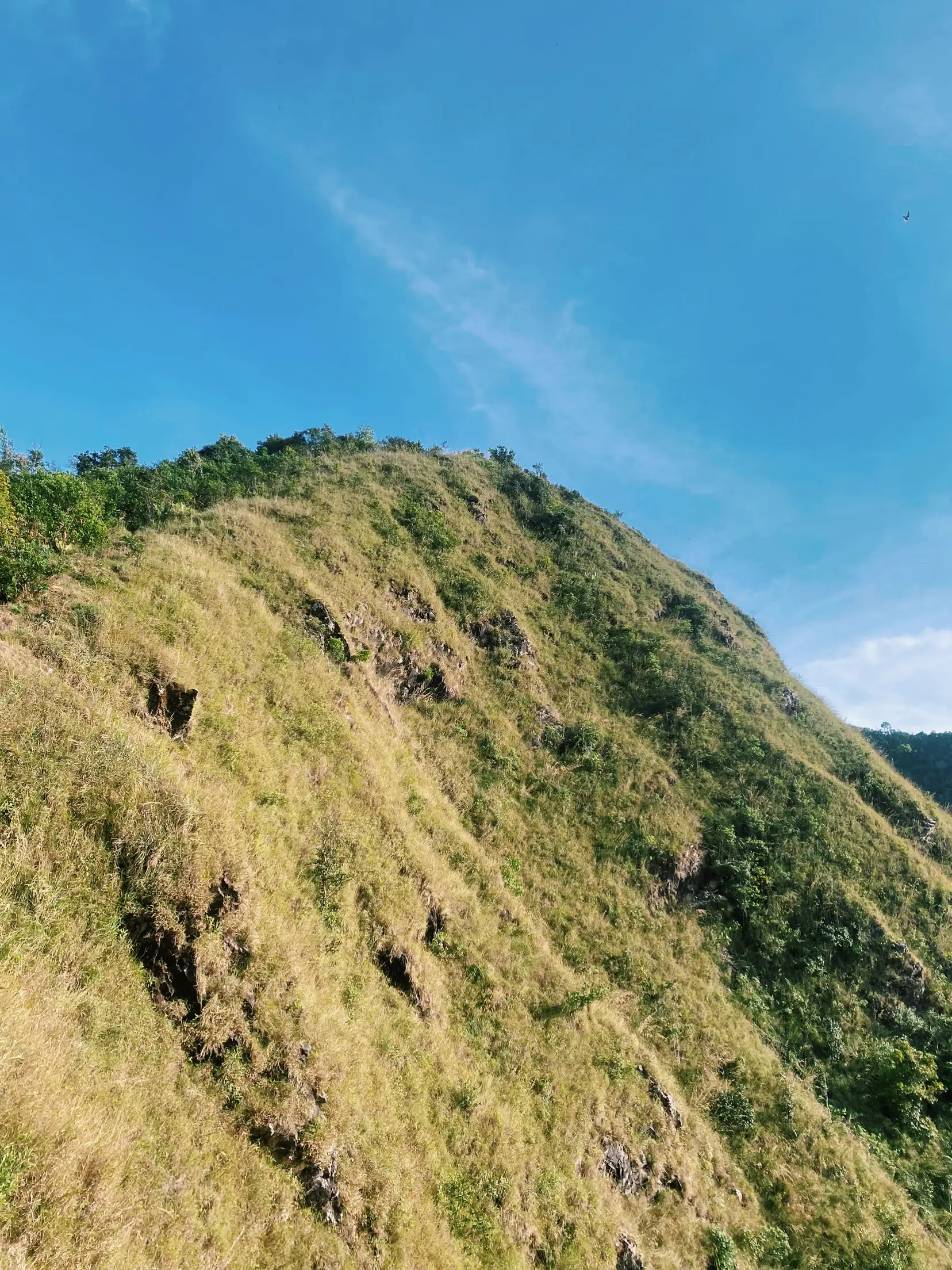 ดอยทูเล-ม่อนคลุย แบบทุลักทุเล | แกลเลอรีที่โพสต์โดย Tarn Chic Capuu ...