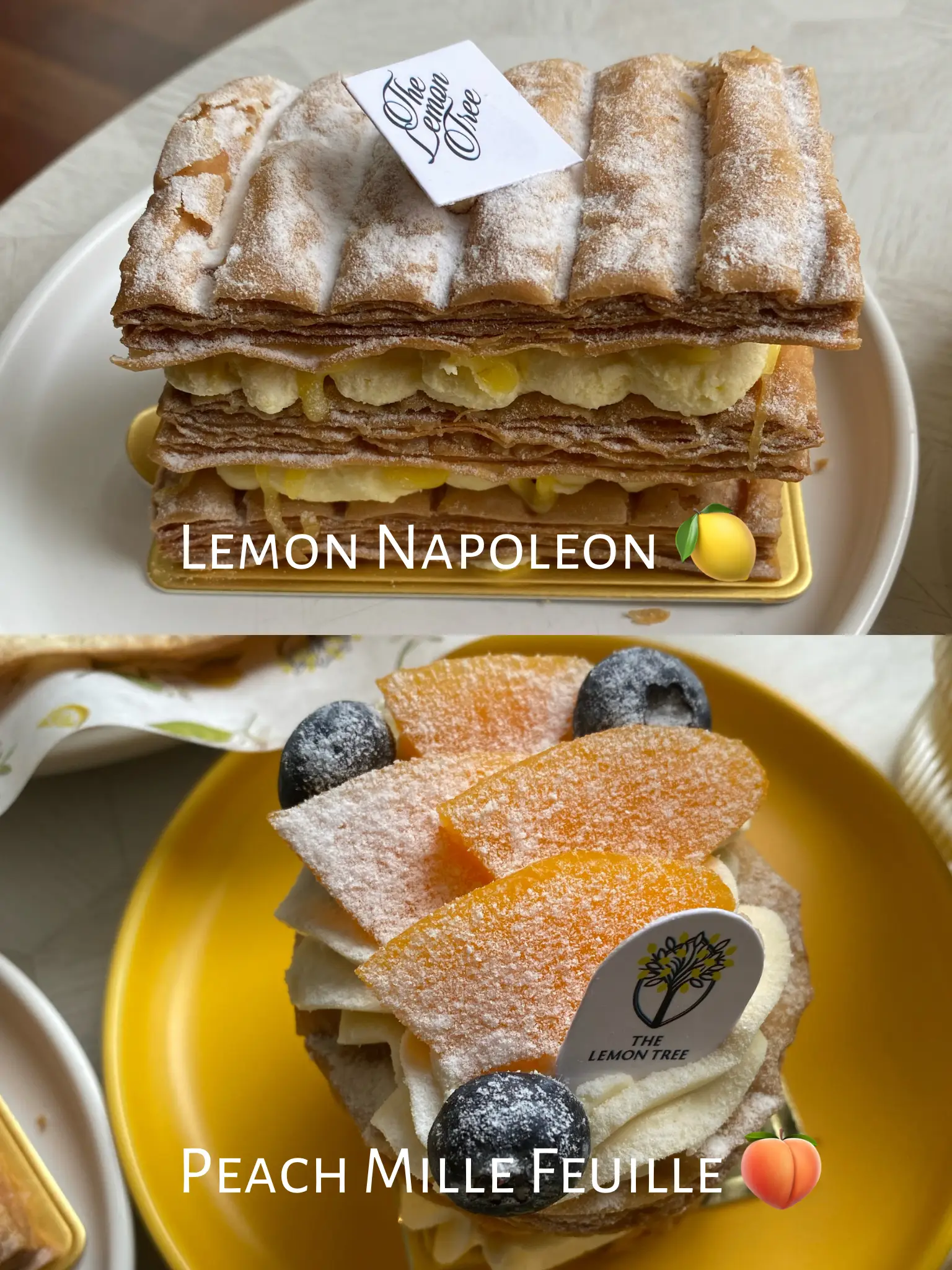 The Lemon Tree 📍 Park Royal Collection KL | Galeri disiarkan oleh Nabihah_neesha | Lemon8