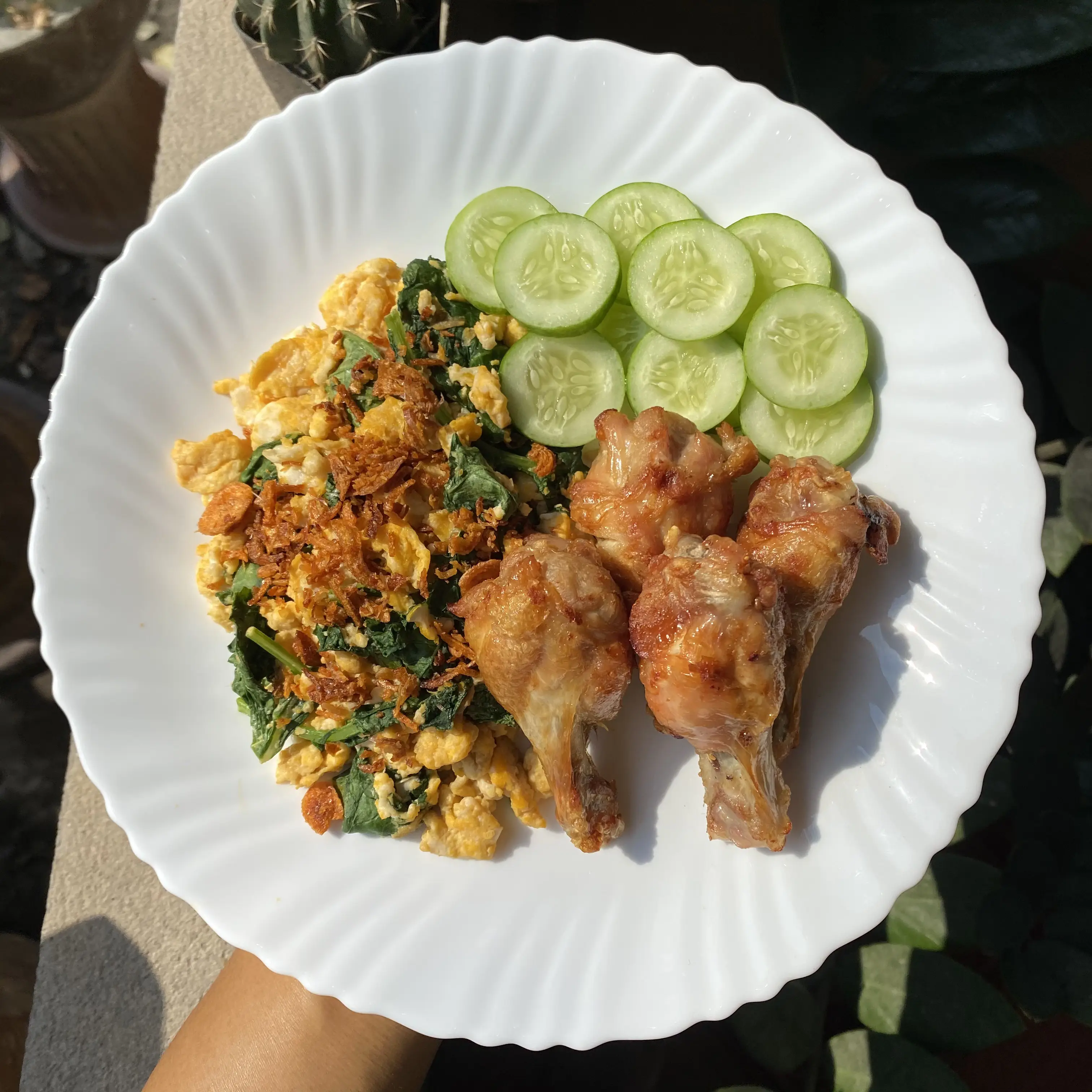 สารพัดประโยชน์จากผักเคล | แกลเลอรีที่โพสต์โดย bass_healthy | Lemon8