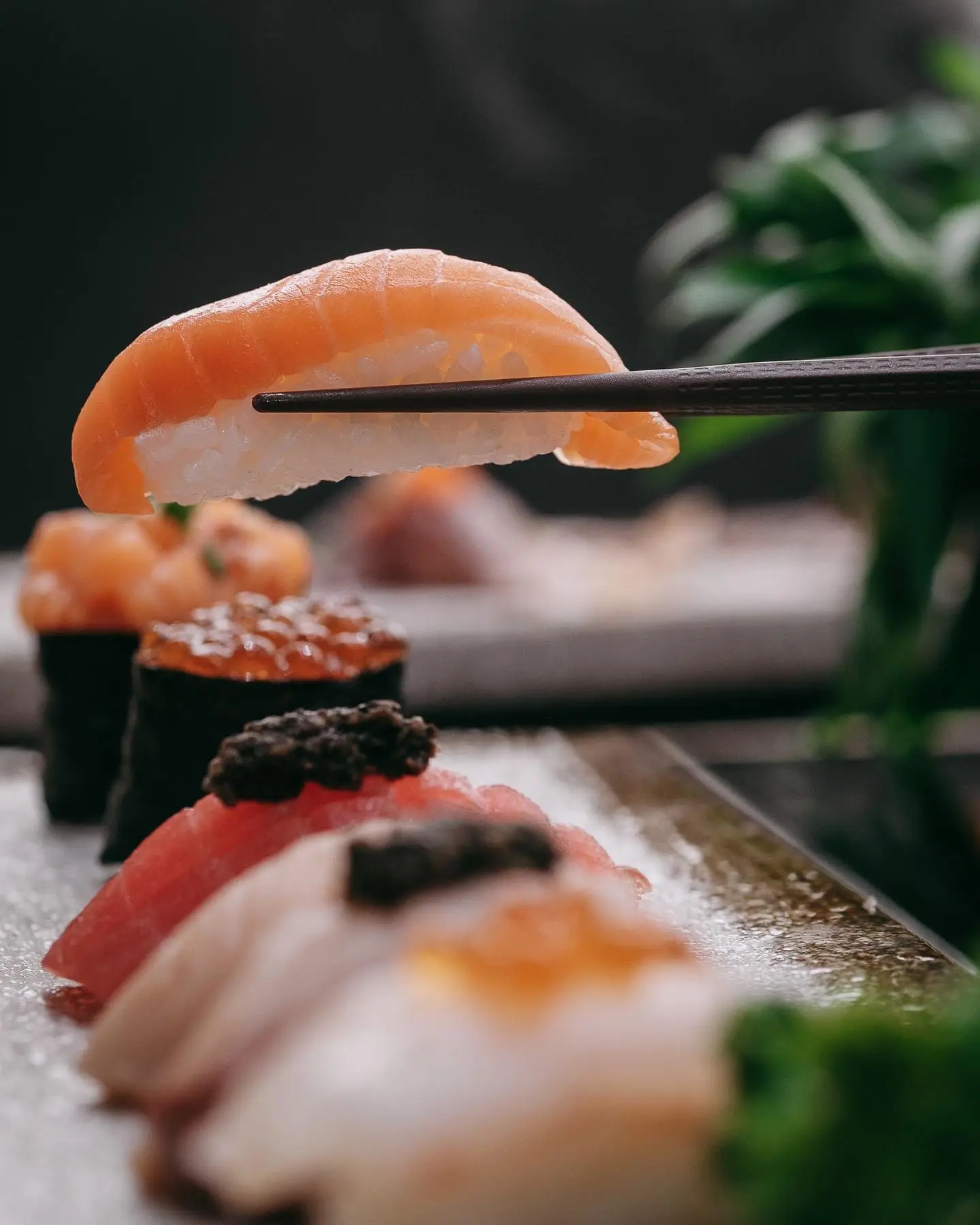 SHIGUMA ร้านอาหารญี่ปุ่นระดับพรีเมียมเปิดสาขาใหม่ย่านบางนา⁣🍣🥩 | แกลเลอรีที่โพสต์โดย Rattomarty ...