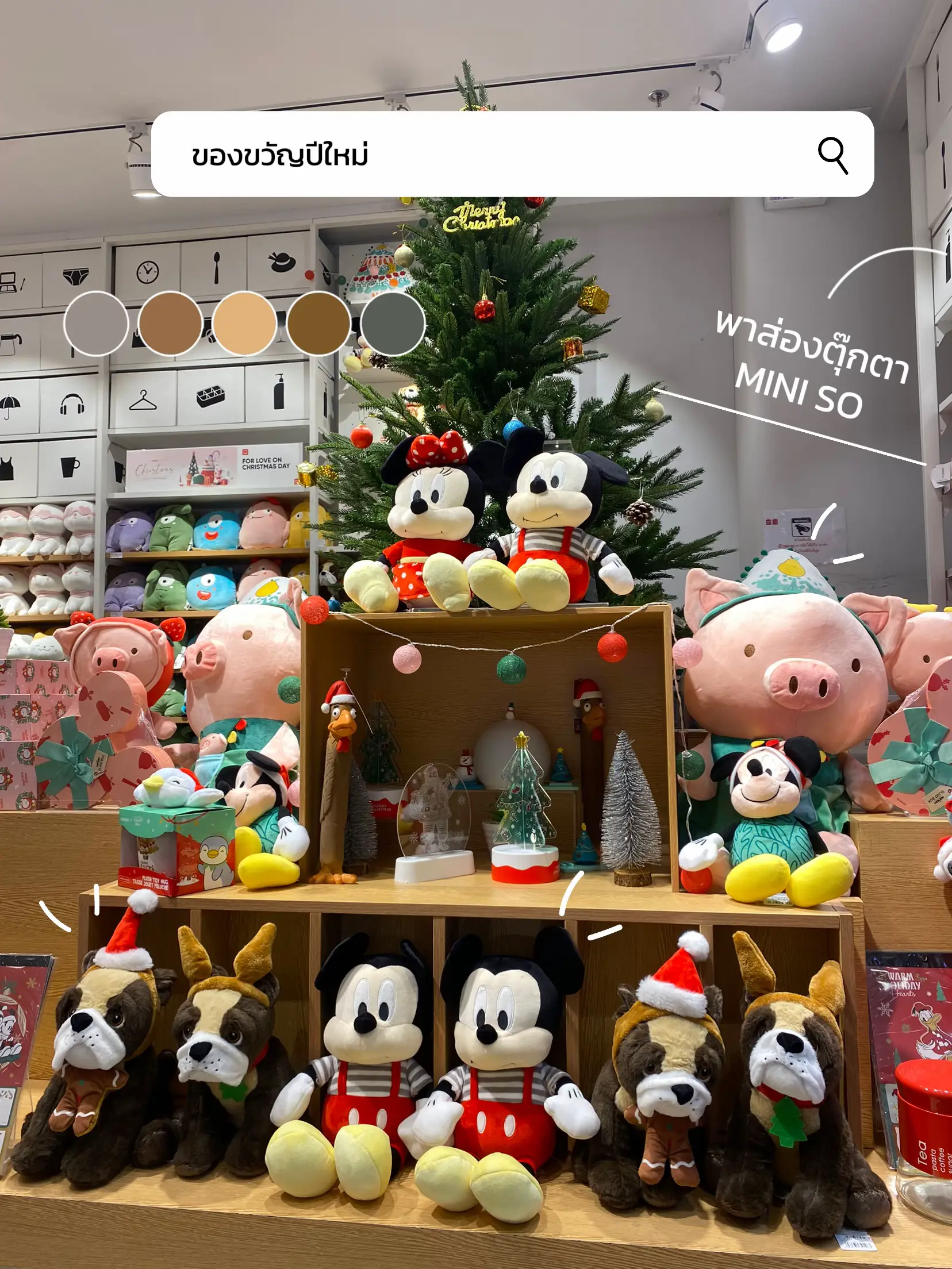 พาส่องตุ๊กตา MINI SO | แกลเลอรีที่โพสต์โดย Phonelee | Lemon8