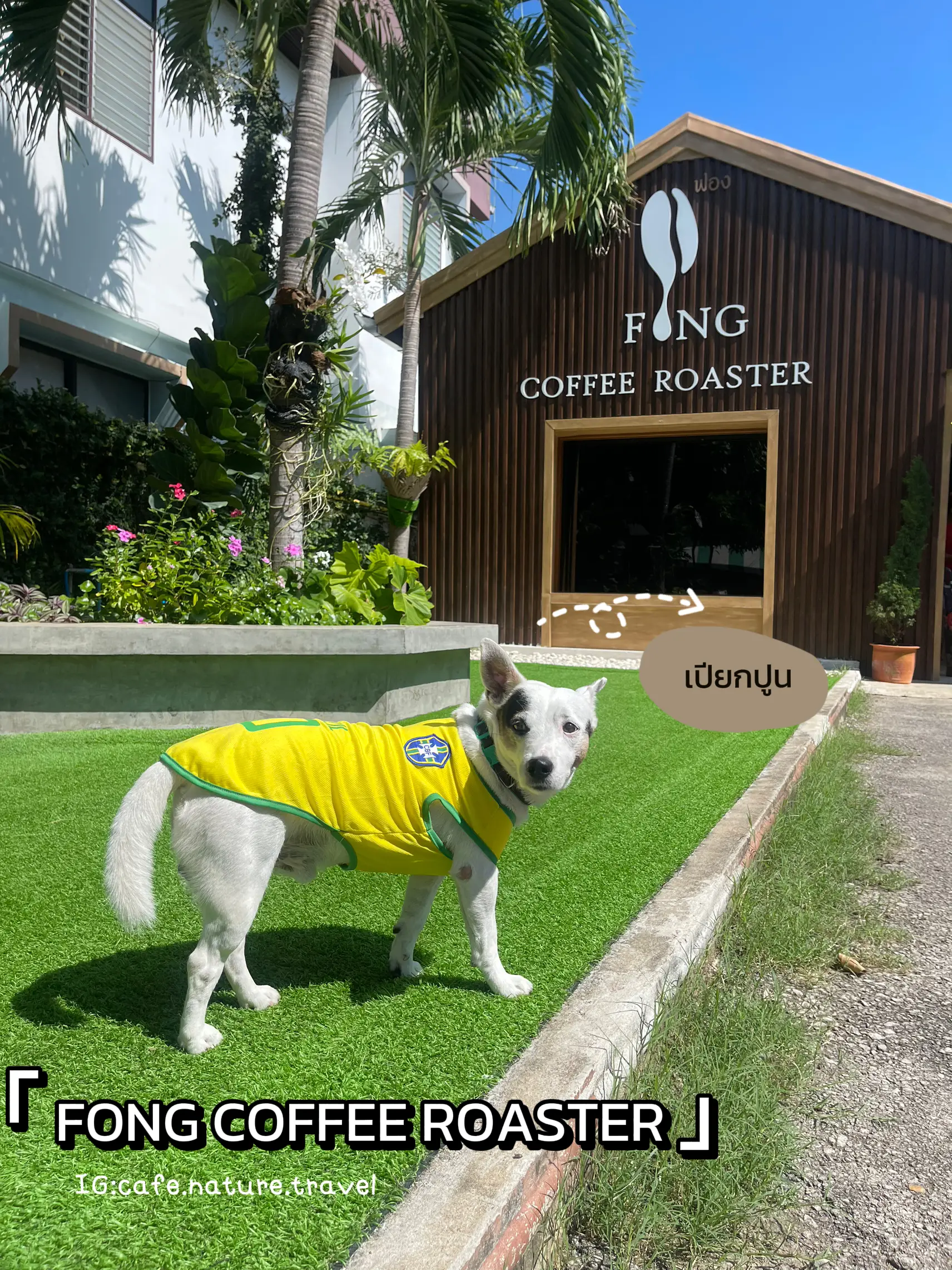 FONG COFFEE ROASTER 」In Lampang | แกลเลอรีที่โพสต์โดย cafe.nature. | Lemon8