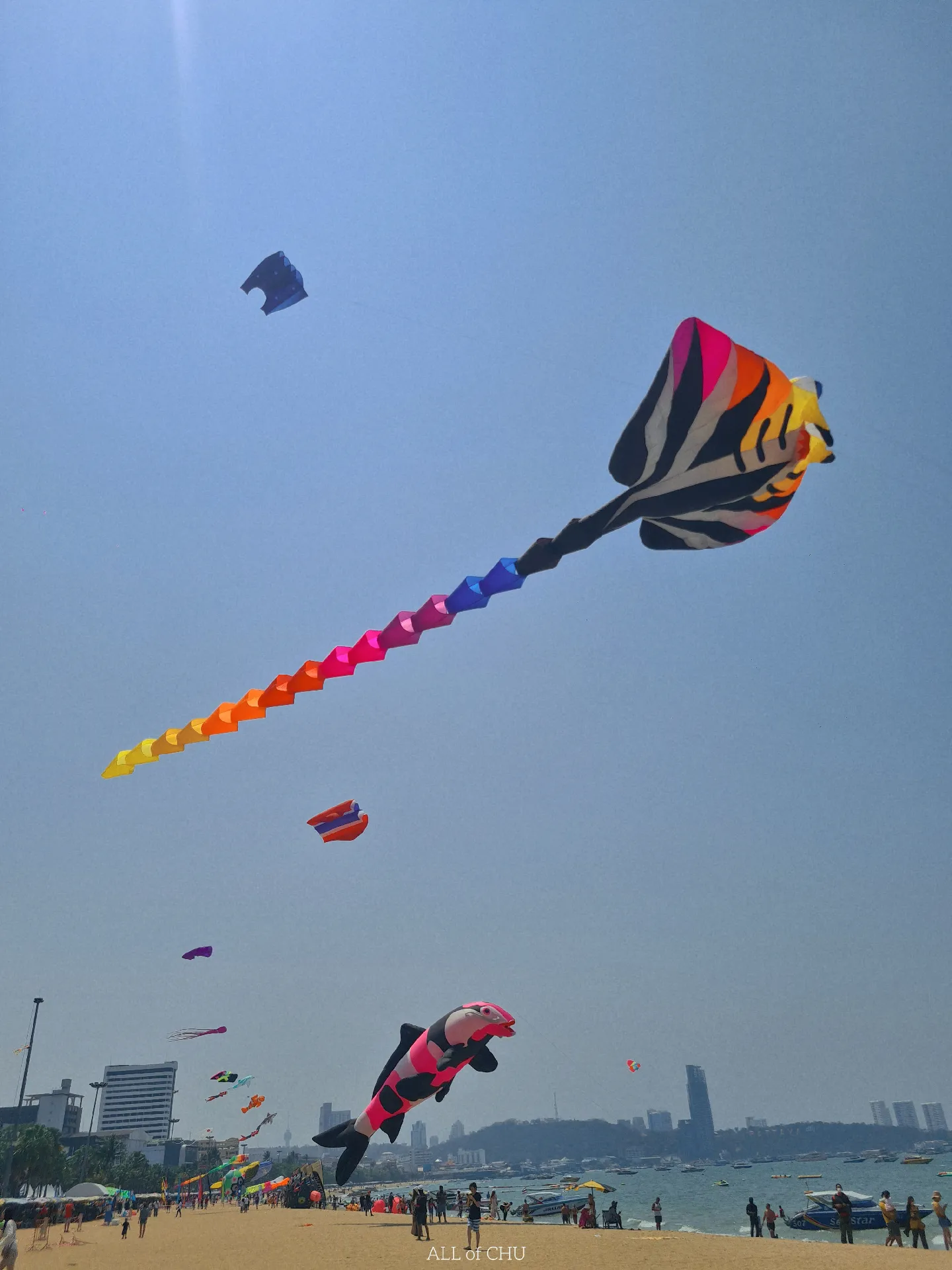 Kite Festival On The Beach 2023 ️☁️ | แกลเลอรีที่โพสต์โดย kie.k24 | Lemon8