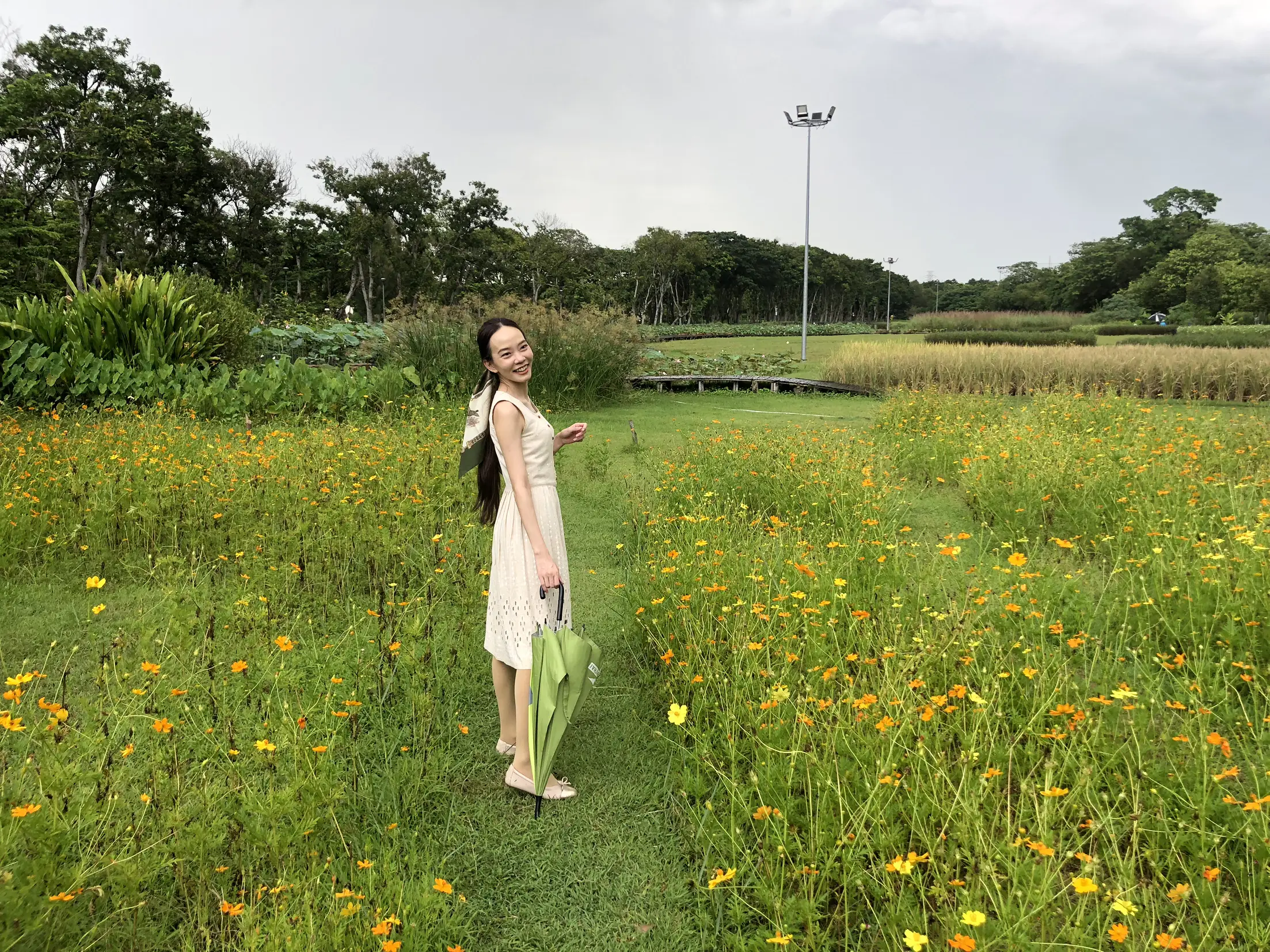 ถ่ายรูปดอกไม้3สวนรวด: สวนรถไฟ สวนสมเด็จ สวนจตุจักร | แกลเลอรีที่โพสต์ ...