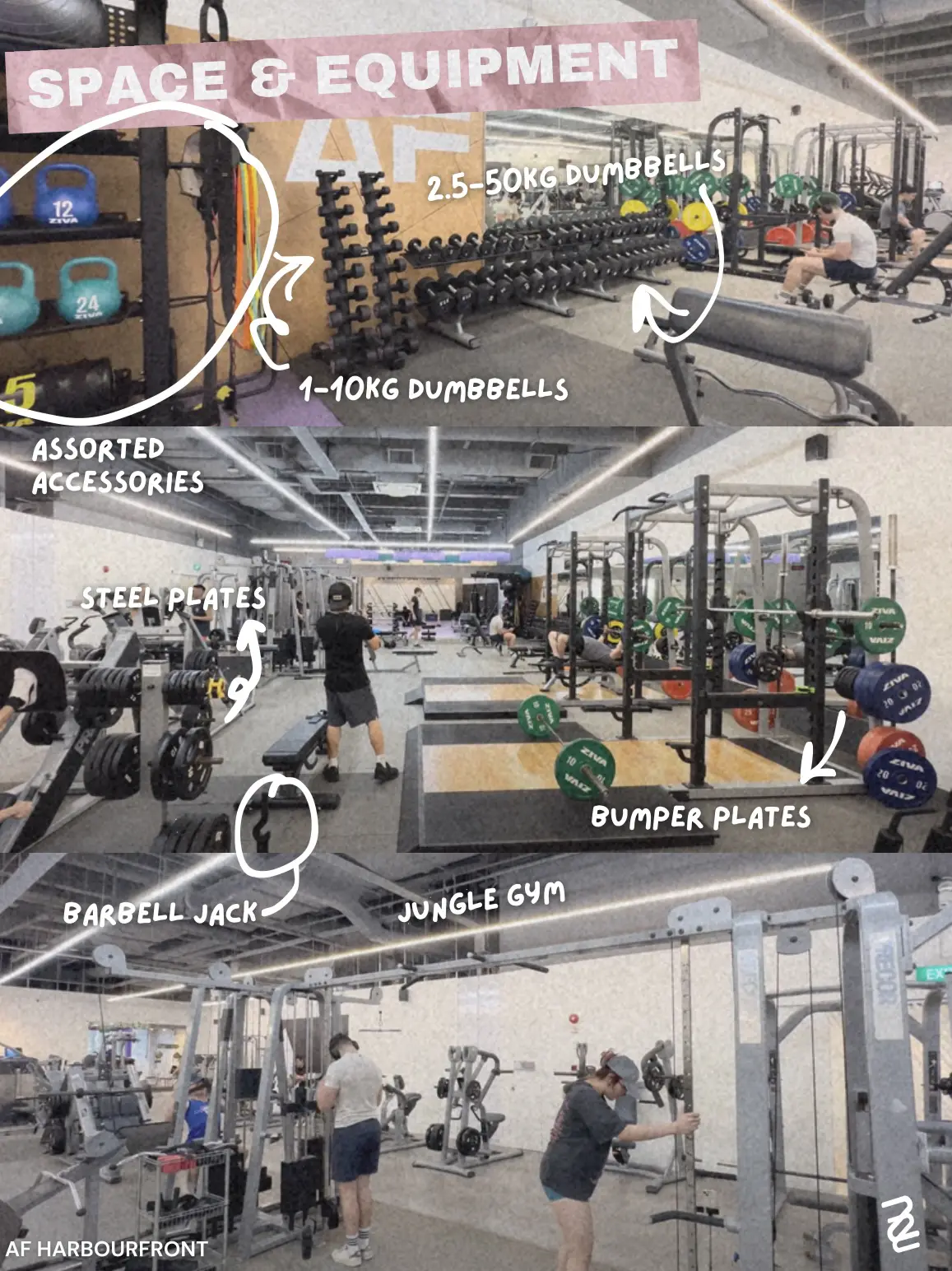 ☀️ GYM NEAR SENTOSA 🏝️ AF Harbourfront Review | Gallery posted by Zaf ...