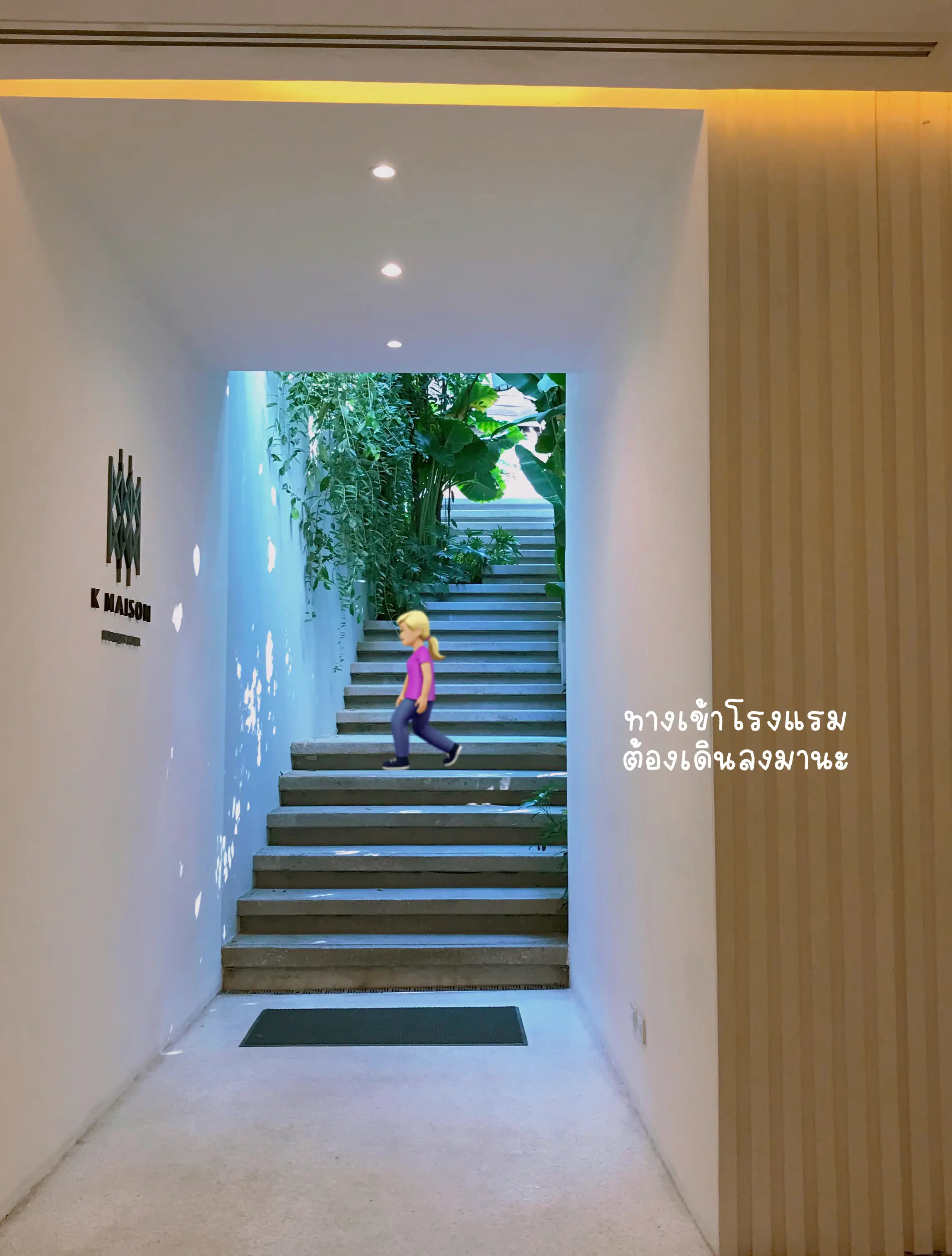 ที่พักใกล้ชิดธรรมชาติ 🌳🪵 เกาหลีเกาใจกลางเมืองเชียงใหม่ | แกลเลอรีที่ ...