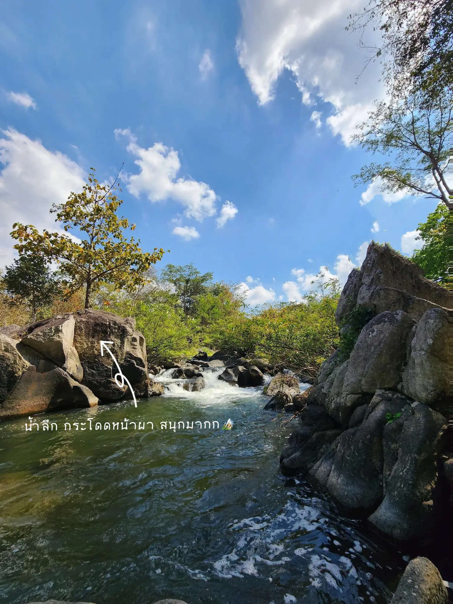 เที่ยวน้ำตกยังไงให้ได้รูป🌳💦🦚🌈🏕️ | แกลเลอรีที่โพสต์โดย ptc.98 | Lemon8