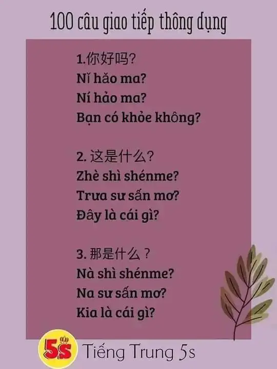100 mẫu câu giao tiếp thông dụng nhất ️ | Bộ sưu tập do Hương Quyn đăng | Lemon8