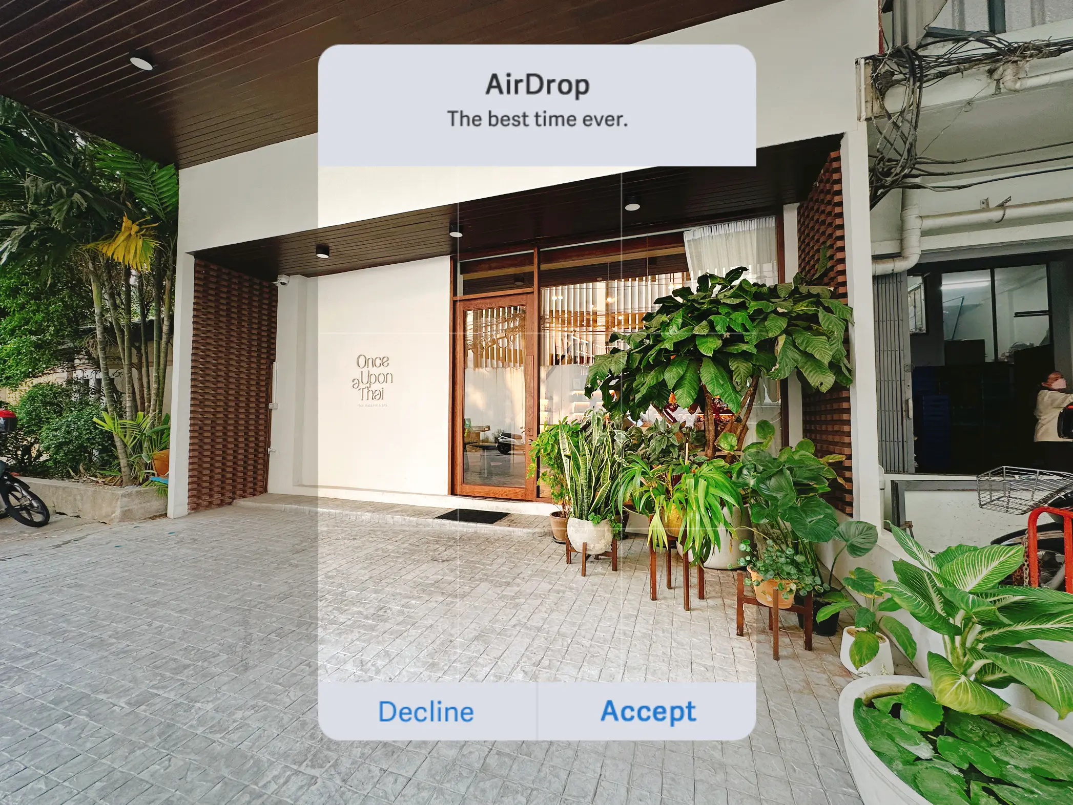 Once upon thai - Lemon8 Search