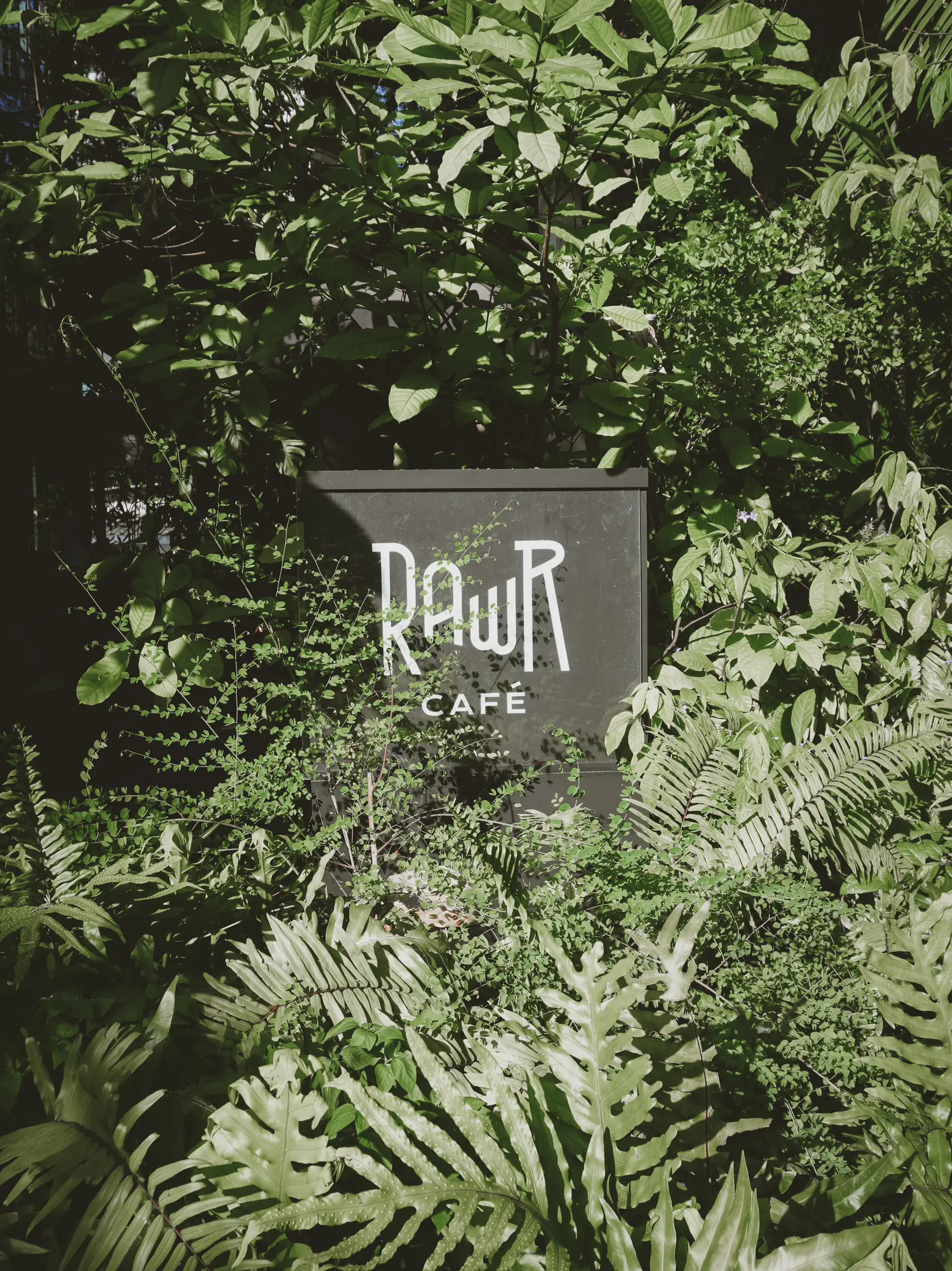 𝐑𝐀𝐖𝐑 𝐂𝐚𝐟𝐞 | แกลเลอรีที่โพสต์โดย Johnny | Lemon8