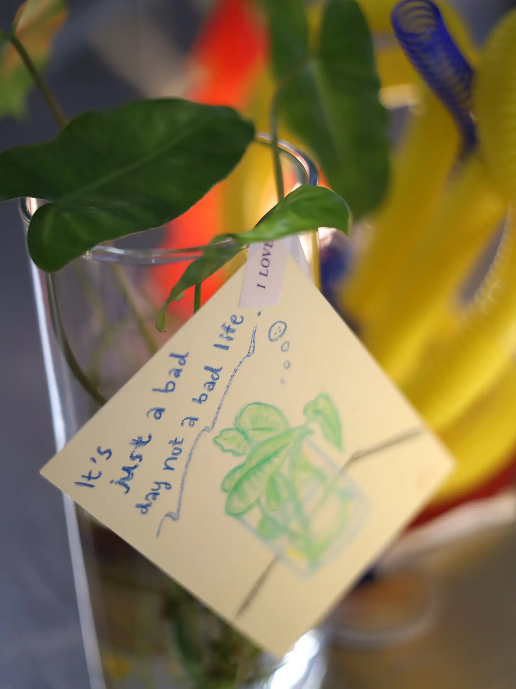 Everyday kmkm cafe - คาเฟ่มู้ดดีใจกลางสยาม‼️ | แกลเลอรีที่โพสต์โดย Pacharapon ch | Lemon8