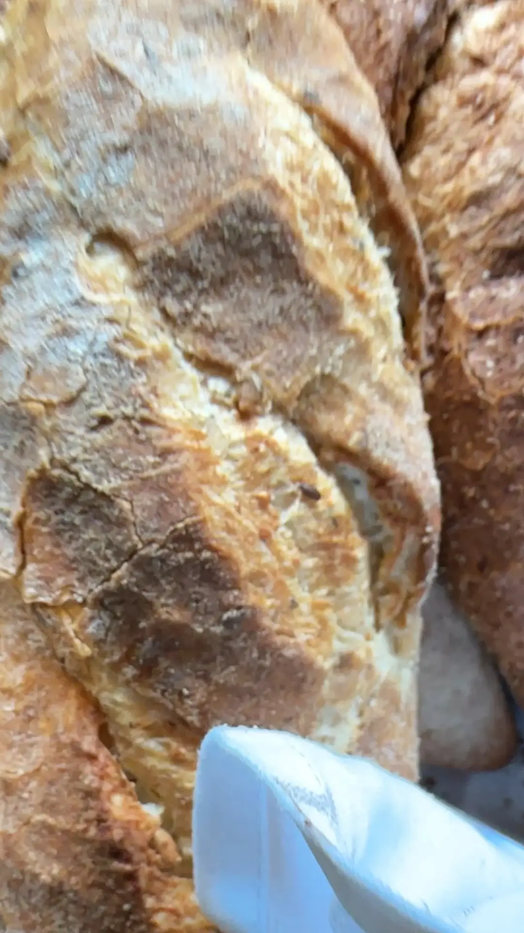 แนะนำ brunch อร่อยๆโซนรัชดา😋 | วิดีโอที่เผยแพร่โดย Wanchat W. | Lemon8