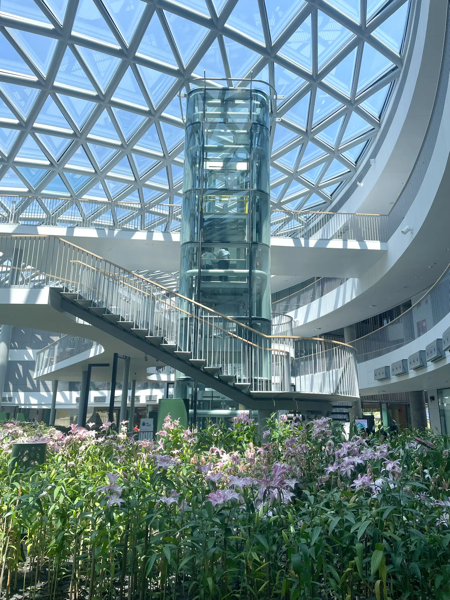 Flora Exhibition Hall (PTT LNG)🌷🌸 | แกลเลอรีที่โพสต์โดย C.cher_ry94 | Lemon8