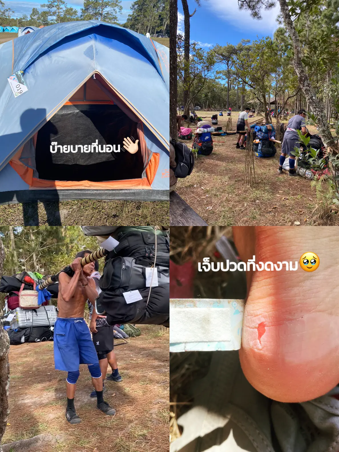 ครั้งนึงในชีวิต มาพิชิตภูกระดึง | แกลเลอรีที่โพสต์โดย Namwarn | Lemon8