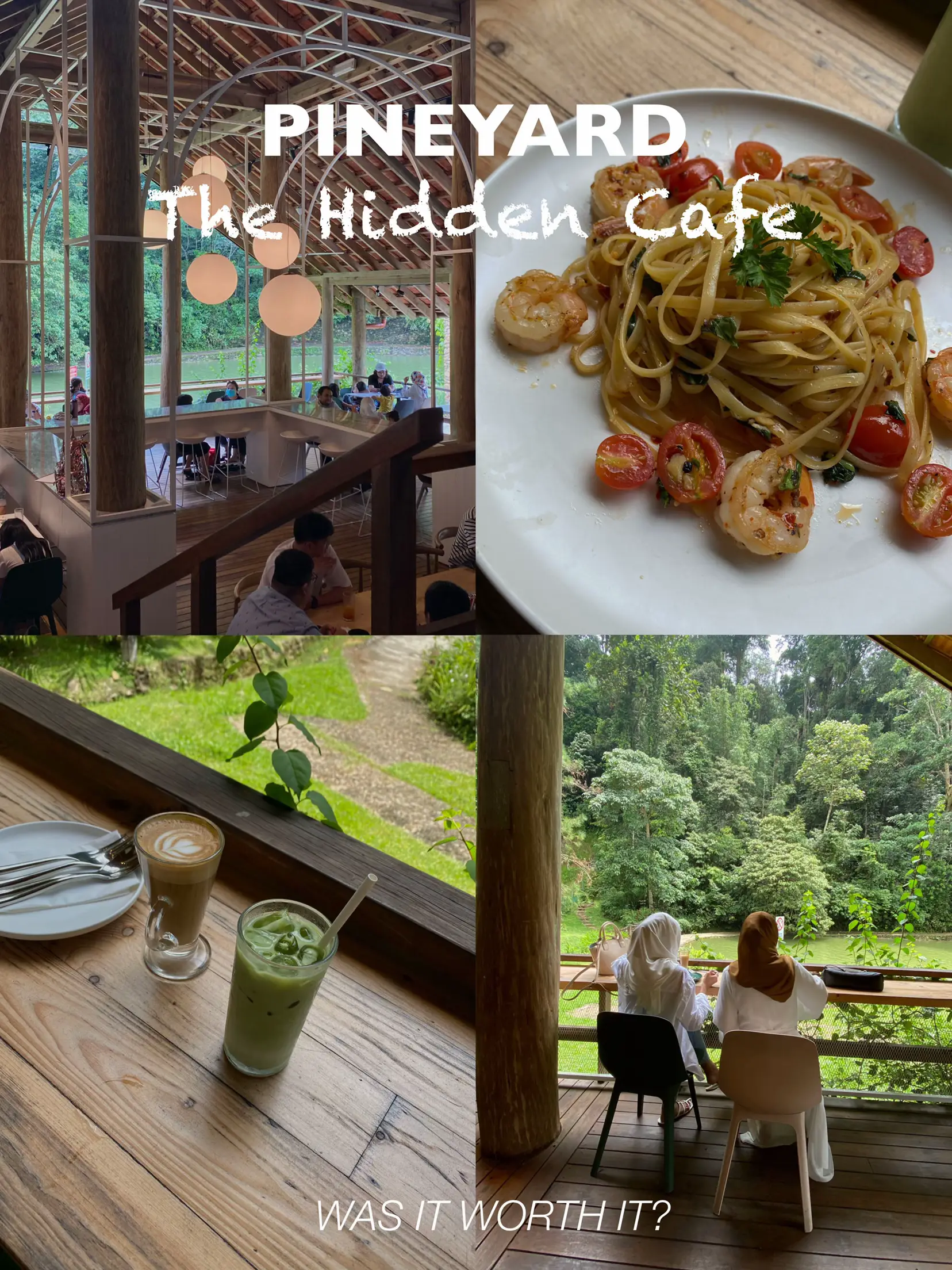 Pineyard, Janda Baik | Serene Hidden Cafe ☕️ | Galeri disiarkan oleh ...