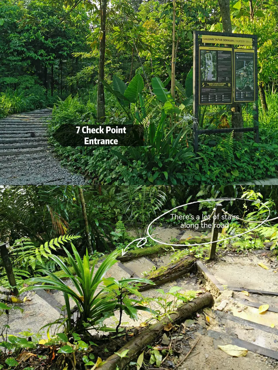 19 idea Jungle Trackingoitfir teratas pada tahun 2024