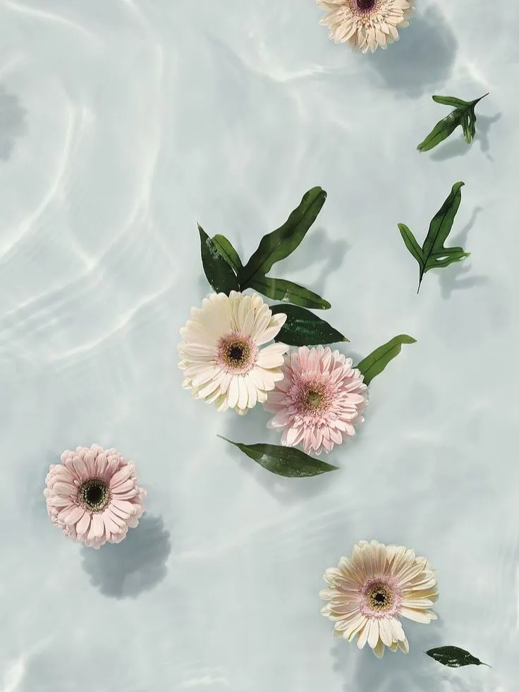 buat kamu yg cari wallpaper bunga, | Galeri diposting oleh lalasa_rii | Lemon8