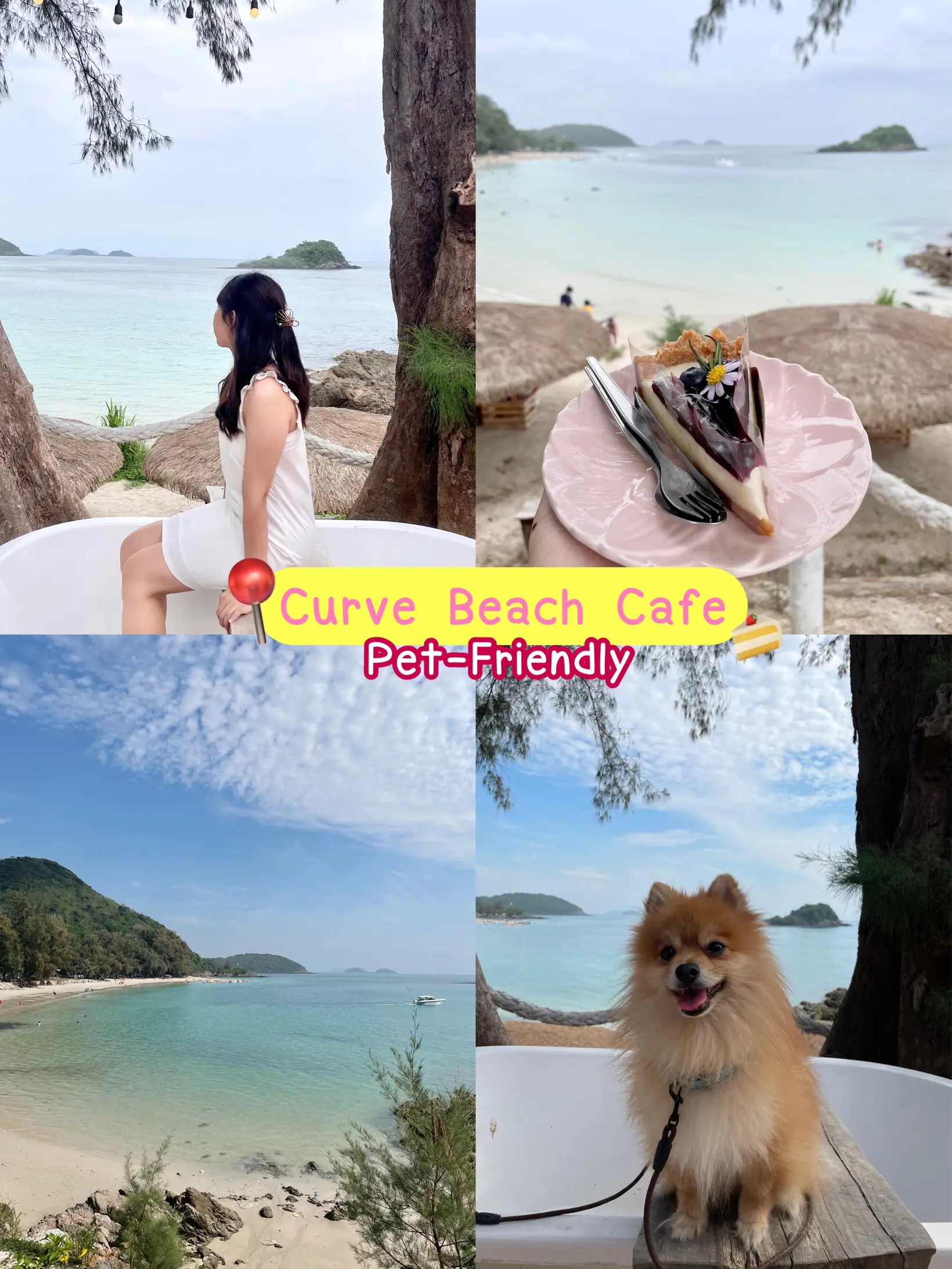 แจกทริปพาน้องเที่ยวทะเล รวมสถานที่ Pet-Friendly 🐶🐱 | แกลเลอรีที่โพสต์โดย xiaolifav. 🫶🏻 | Lemon8