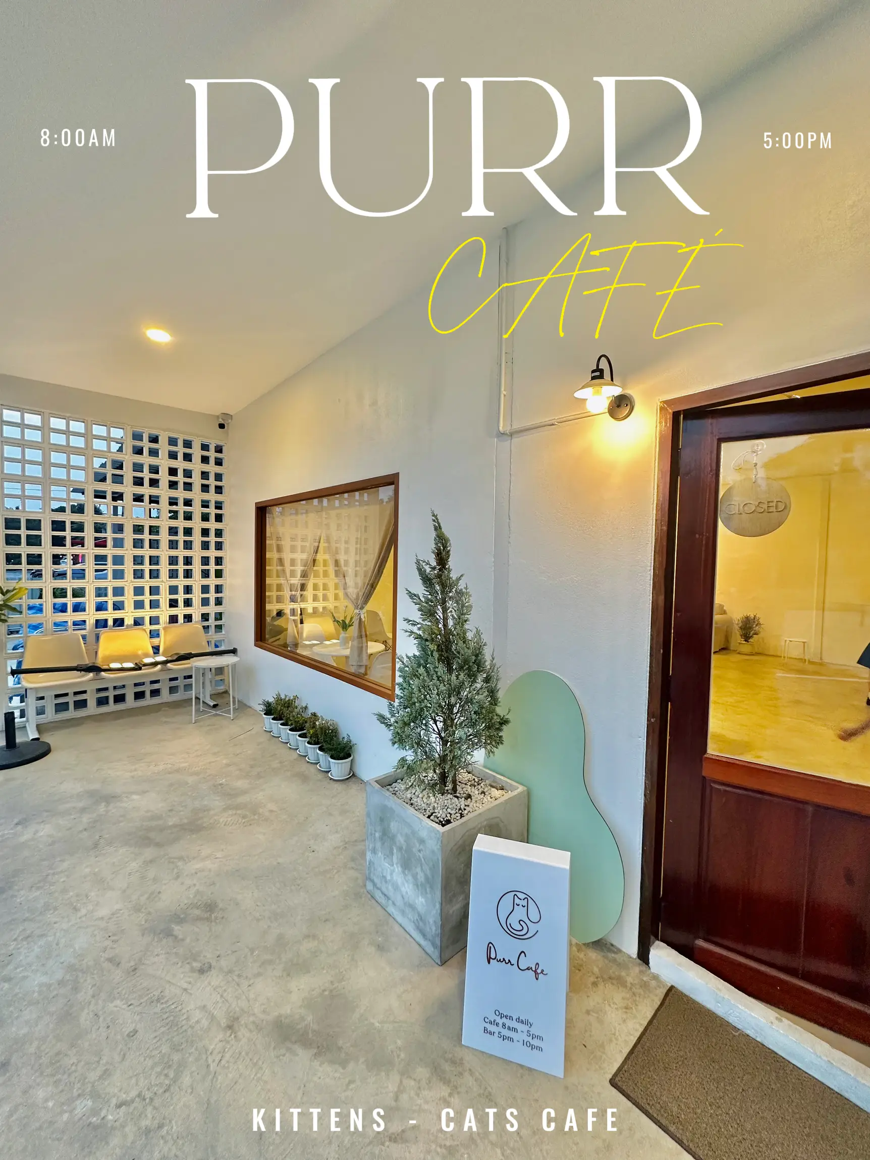 PURR cafe 🐈 | แกลเลอรีที่โพสต์โดย S ꒰ ő ꒱ D A . | Lemon8