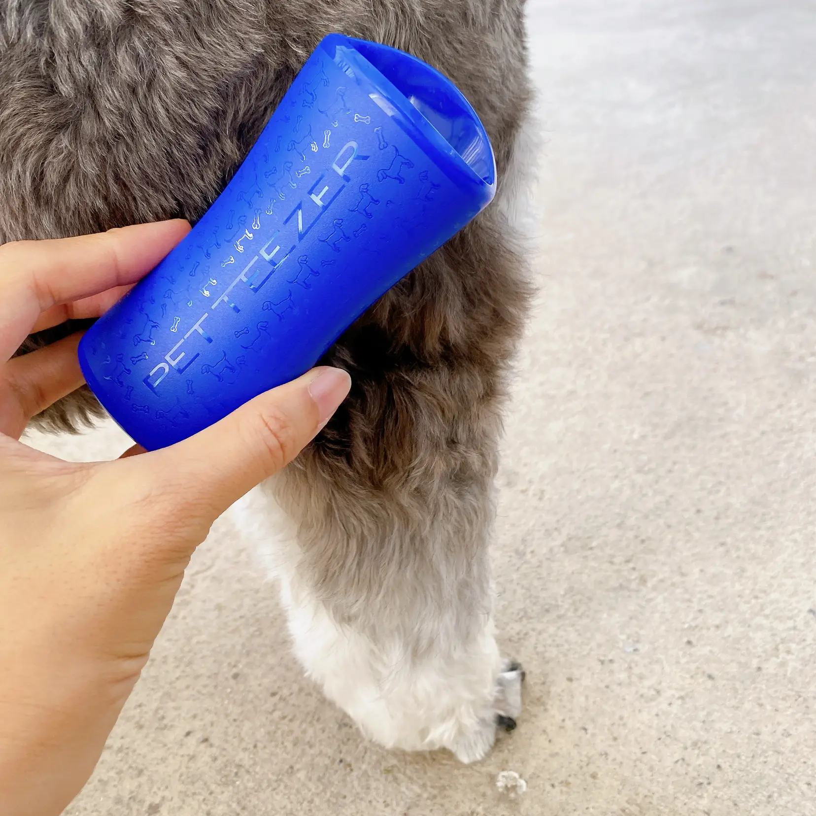 แปรงหวีขนแมวbenn - การค้นหาใน Lemon8