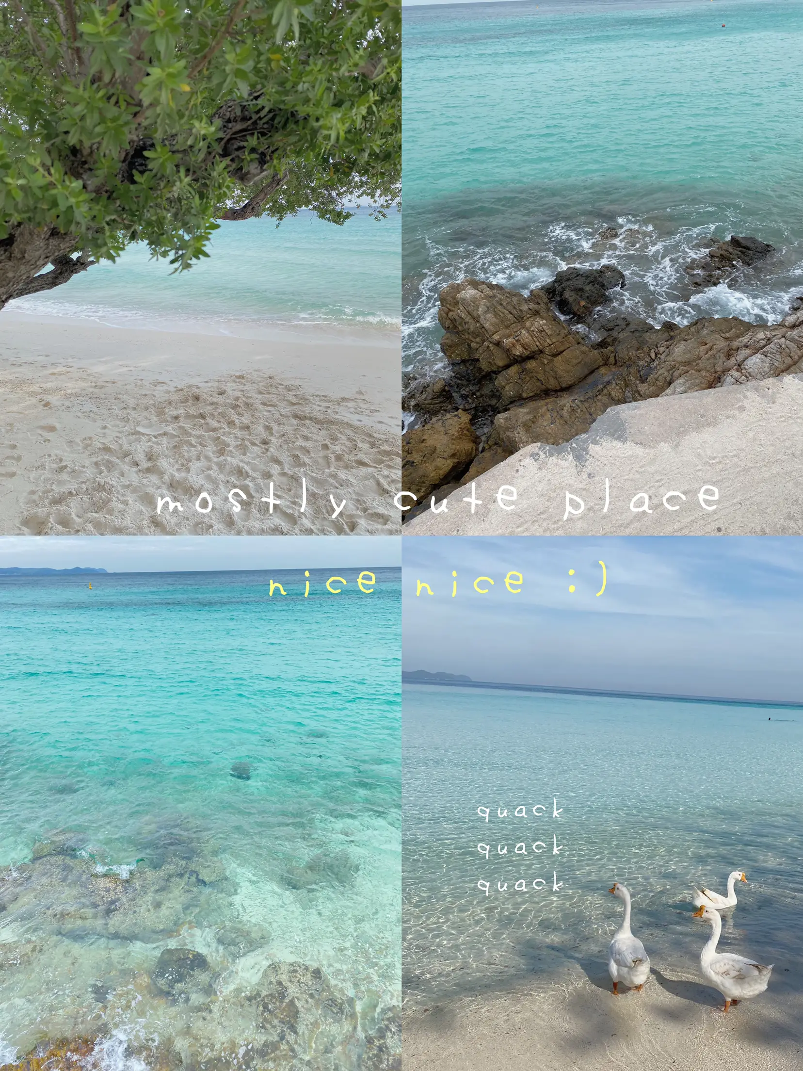 หาดเทียน เกาะล้าน 🦢 🫧 | แกลเลอรีที่โพสต์โดย ꒰ mary nan ꒱ | Lemon8