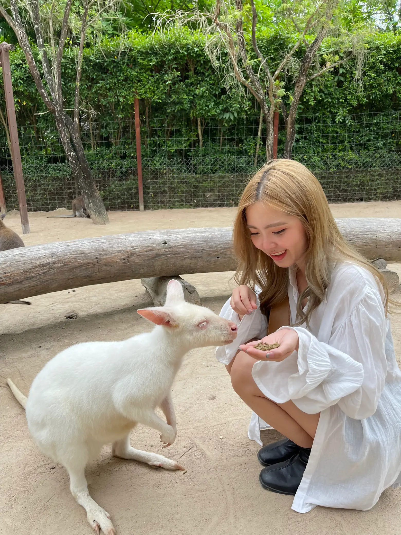 พาเที่ยว Alpaca hill @ราชบุรี กันน~~ | แกลเลอรีที่โพสต์โดย Ninkyun | Lemon8