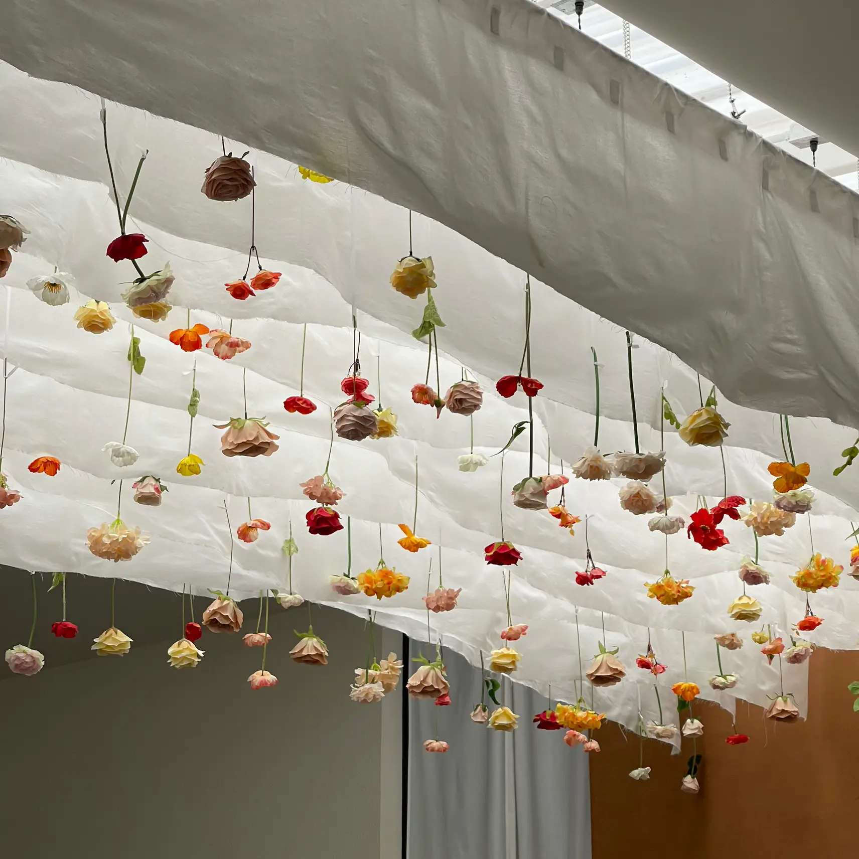 Sicha’s คาเฟ่ถูกใจสายถ่ายรูป | แกลเลอรีที่โพสต์โดย Phinanan S. | Lemon8