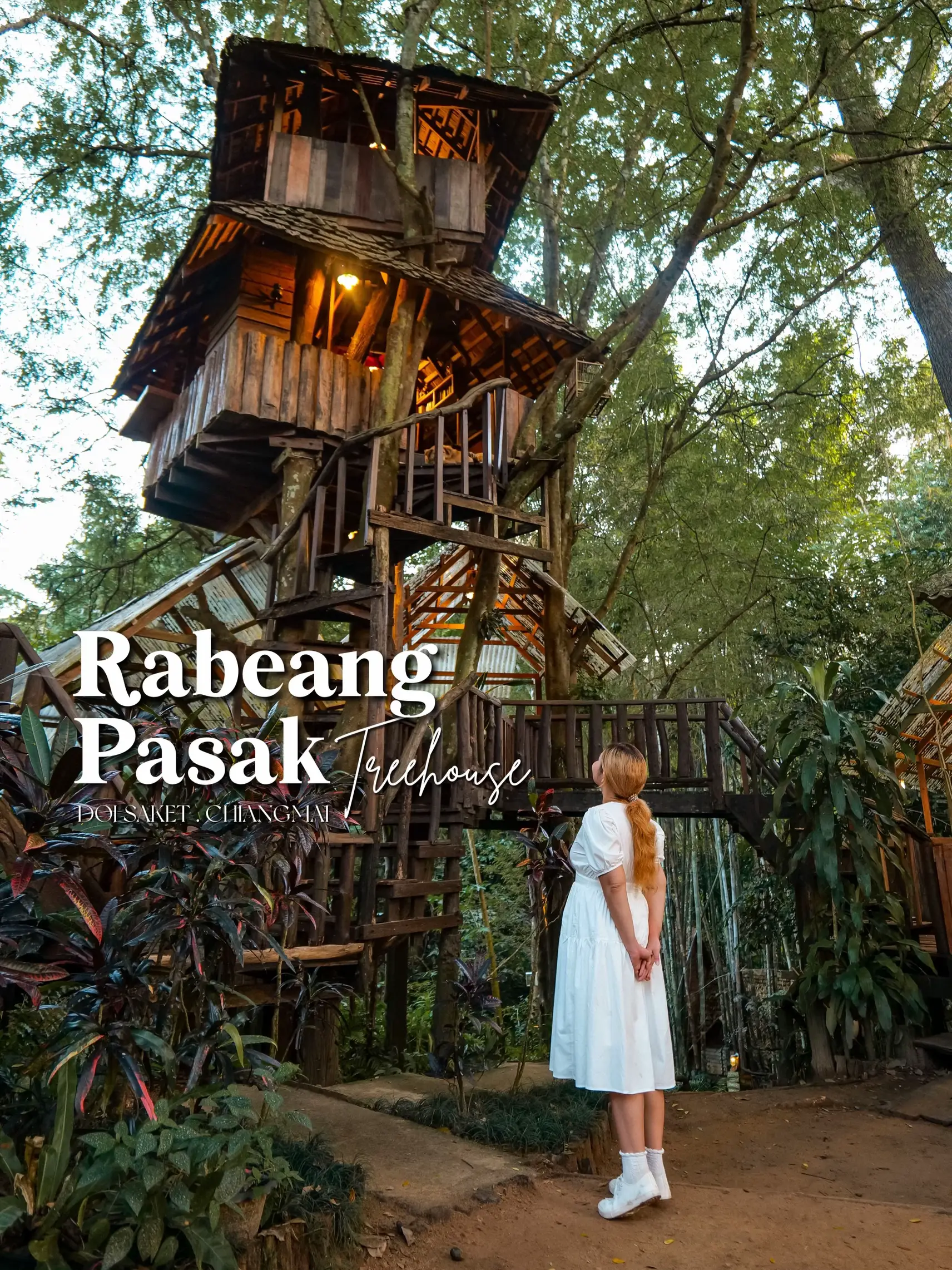🌳🏡 ฝันในวัยเด็กอยากนอนบ้านต้นไม้ Rabeang Pasak Treehouse | แกลเลอรีที่ ...