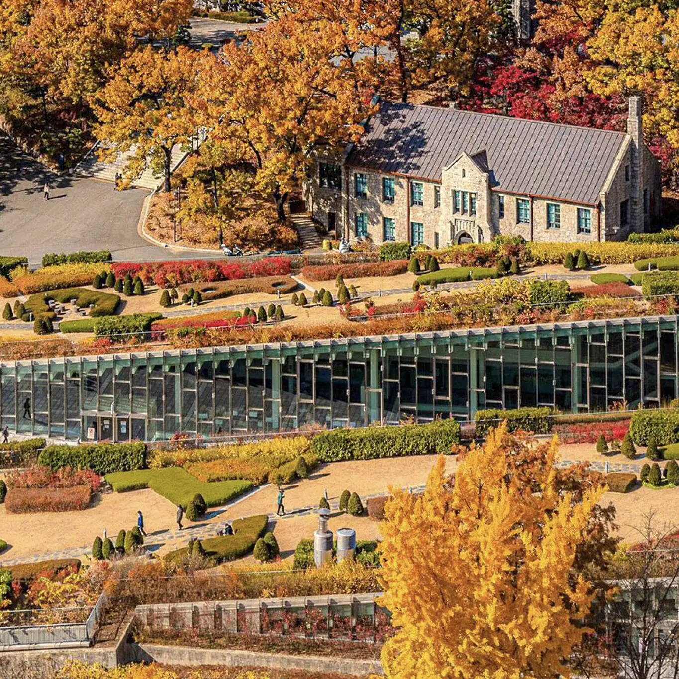 Ehwa Womans University จุดชมใบไม้เปลี่ยนสีในโซลสุดปัง 🍁🍂 | Gallery ...