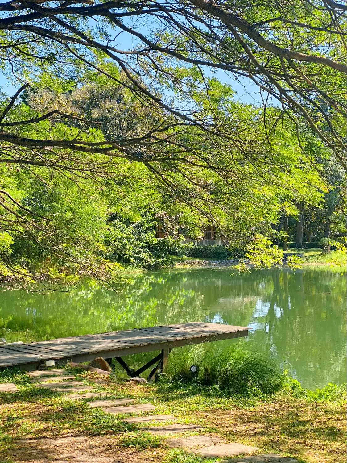 Like A Mountain Khao Yai 🍀 | แกลเลอรีที่โพสต์โดย Fai’s Reviews | Lemon8