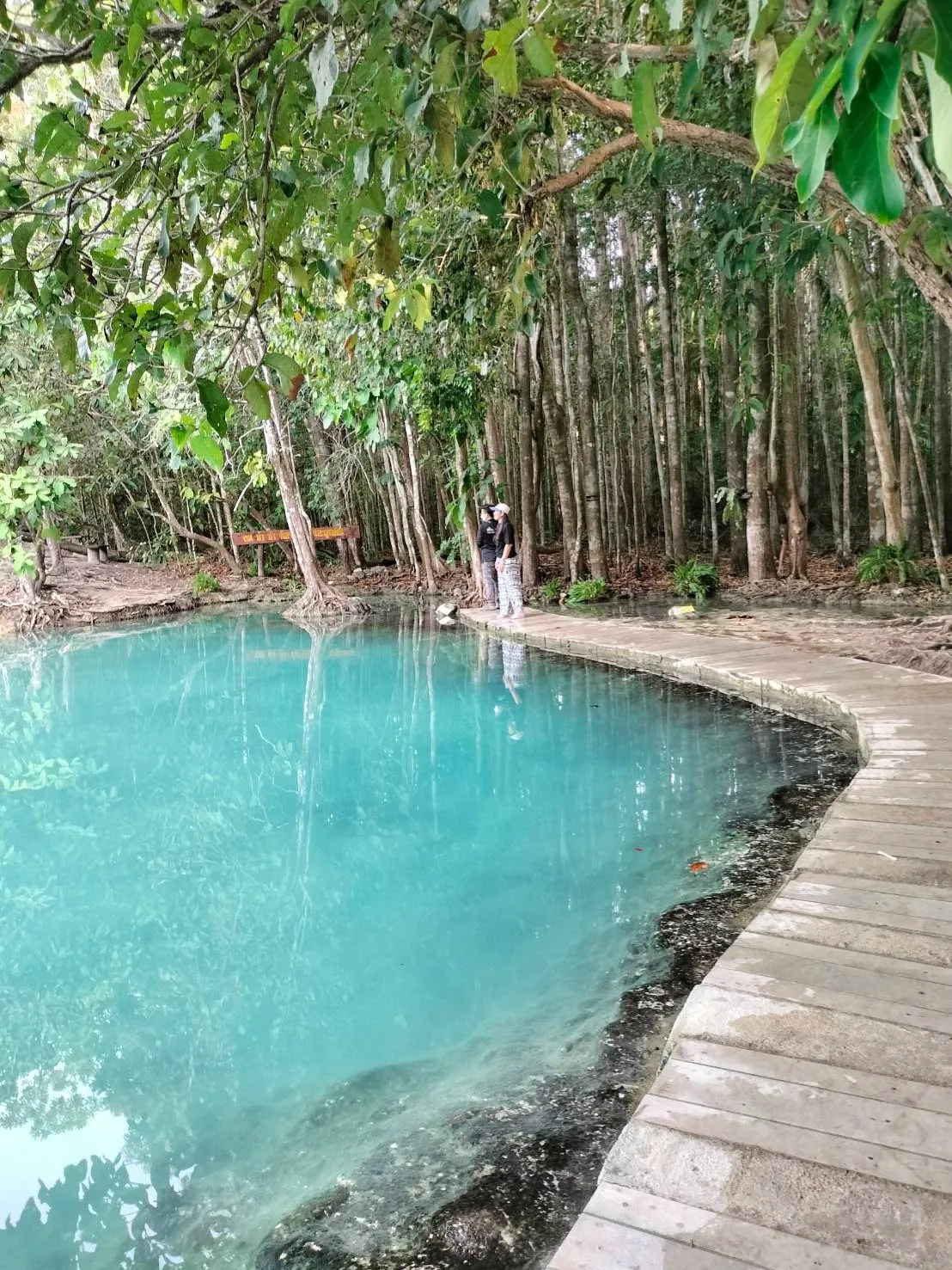 เที่ยวสระมรกต จ.กระบี่ | แกลเลอรีที่โพสต์โดย KruAor | Lemon8